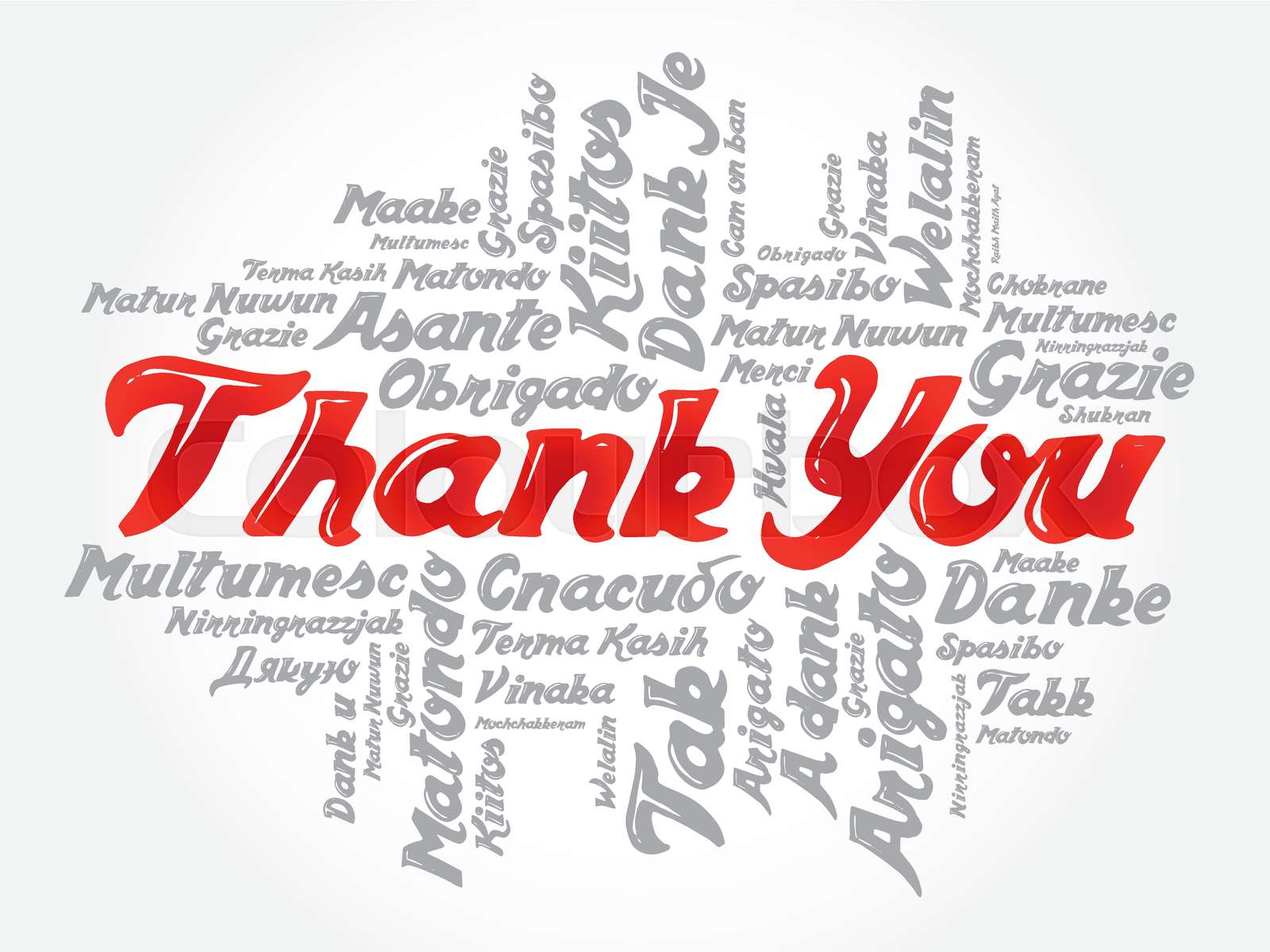 Thank You word cloud in different languages | Stock vector | Colourbox