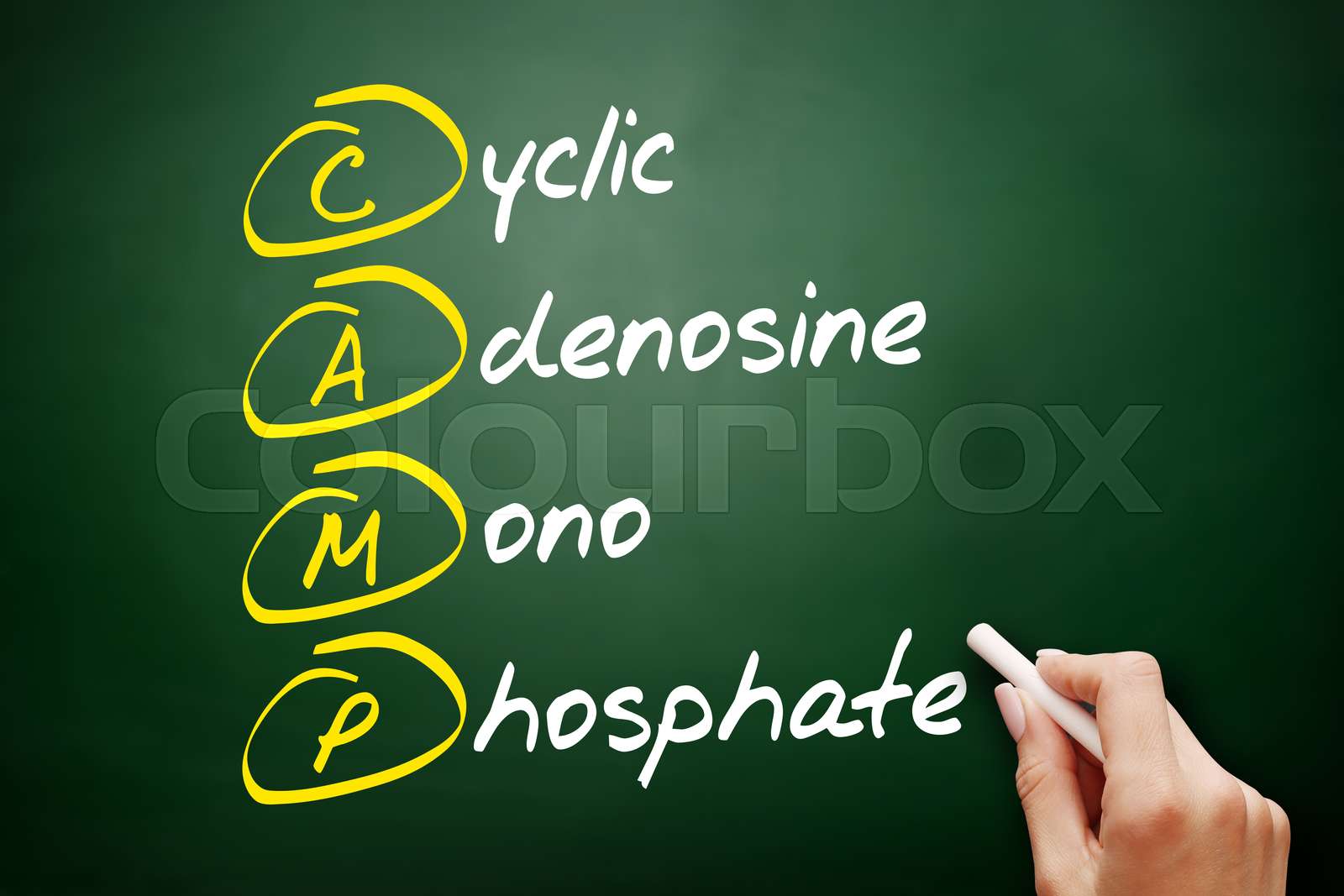 CAMP acronym, concept on blackboard | Stock image | Colourbox