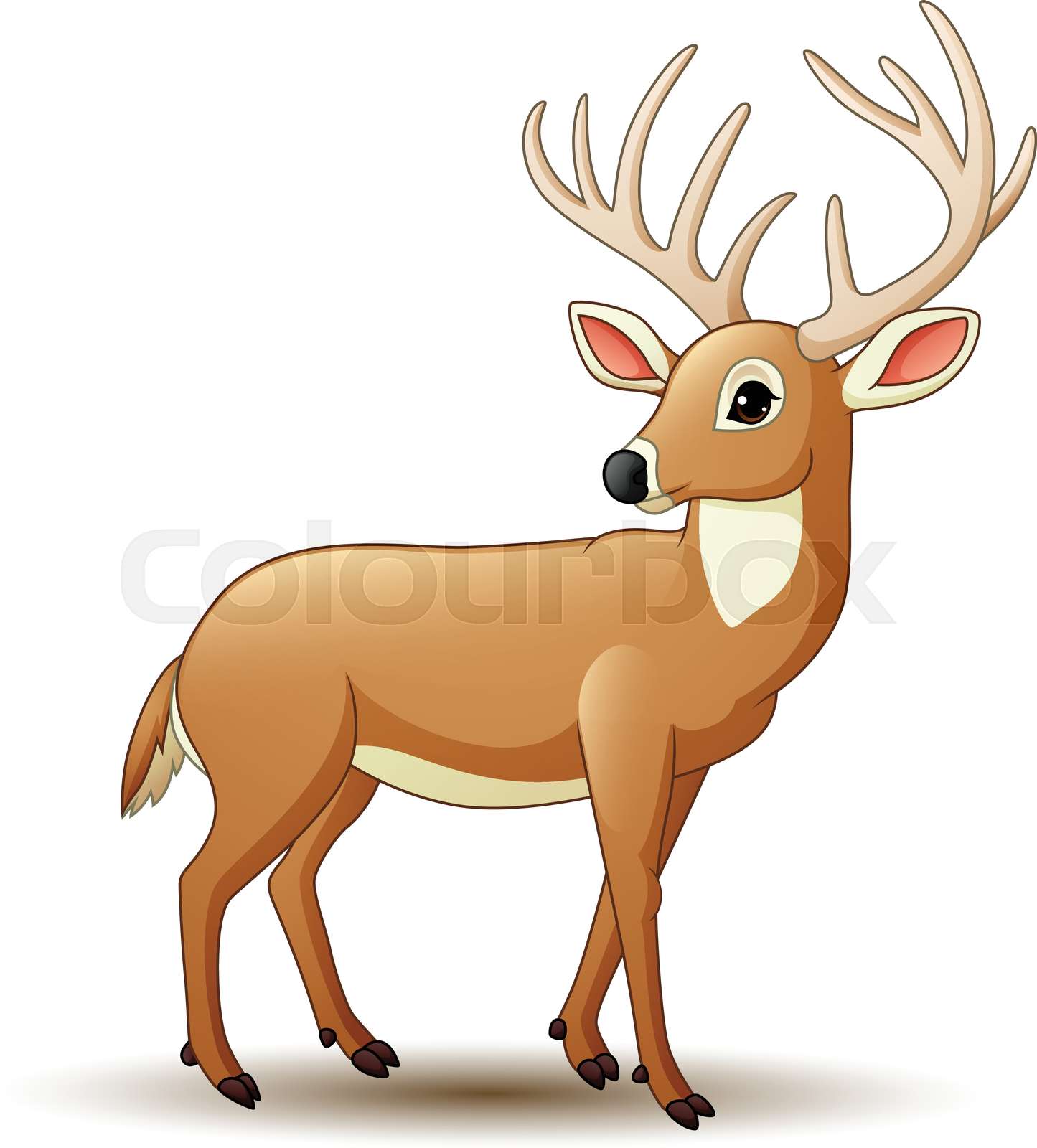 Cartoon deer isolated on white background | Stock vector | Colourbox
