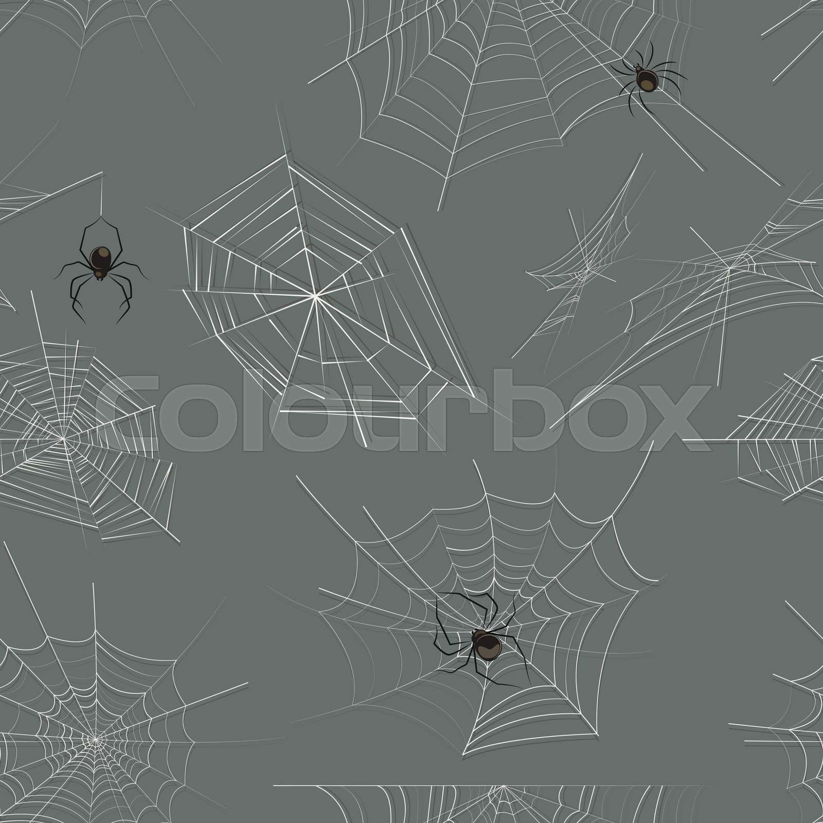 Collection of spiders and webs pattern | Stock vector | Colourbox