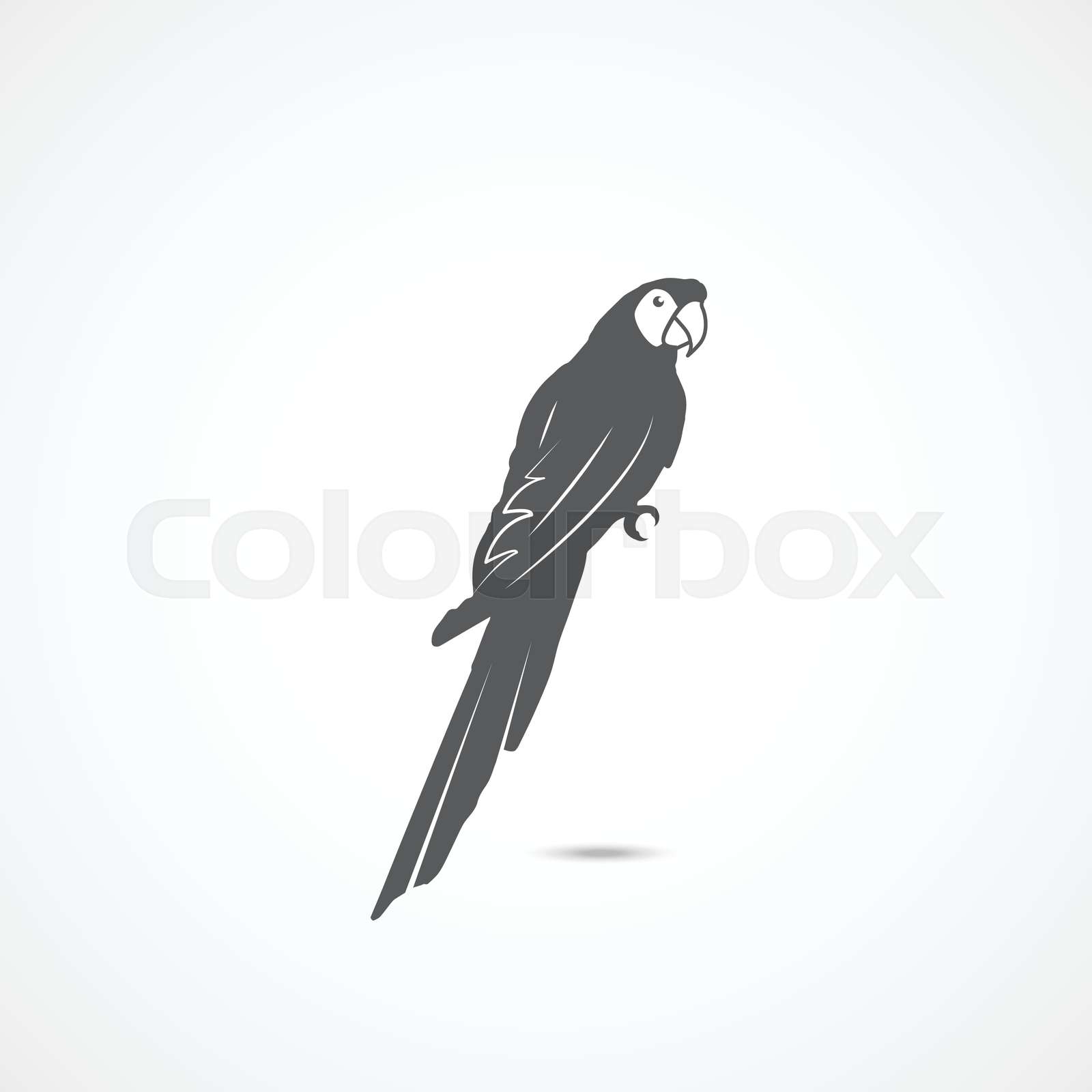Parrot flat icon | Stock vector | Colourbox