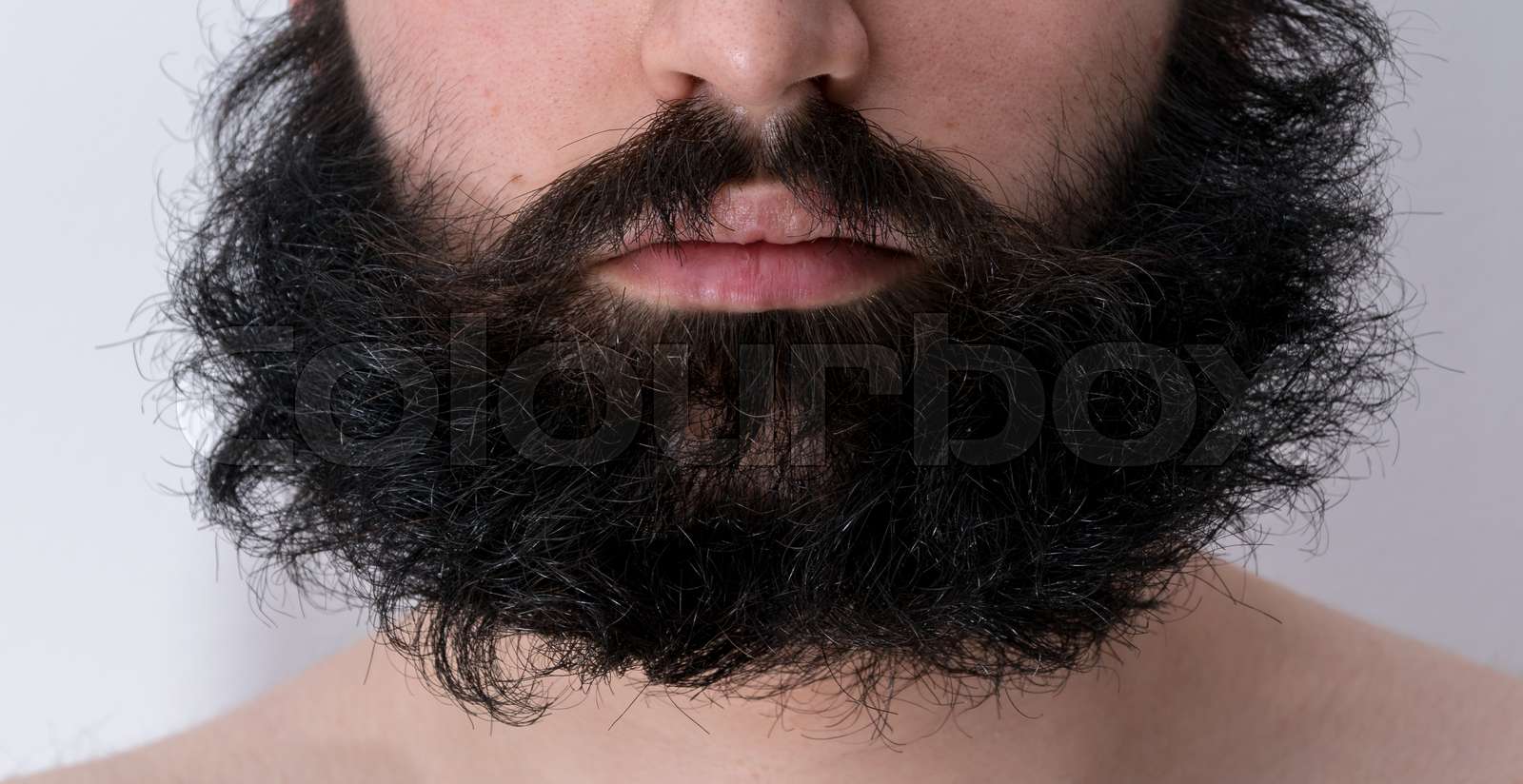 A part of a long ungroomed beard with long, messy and untrimmed hair ...
