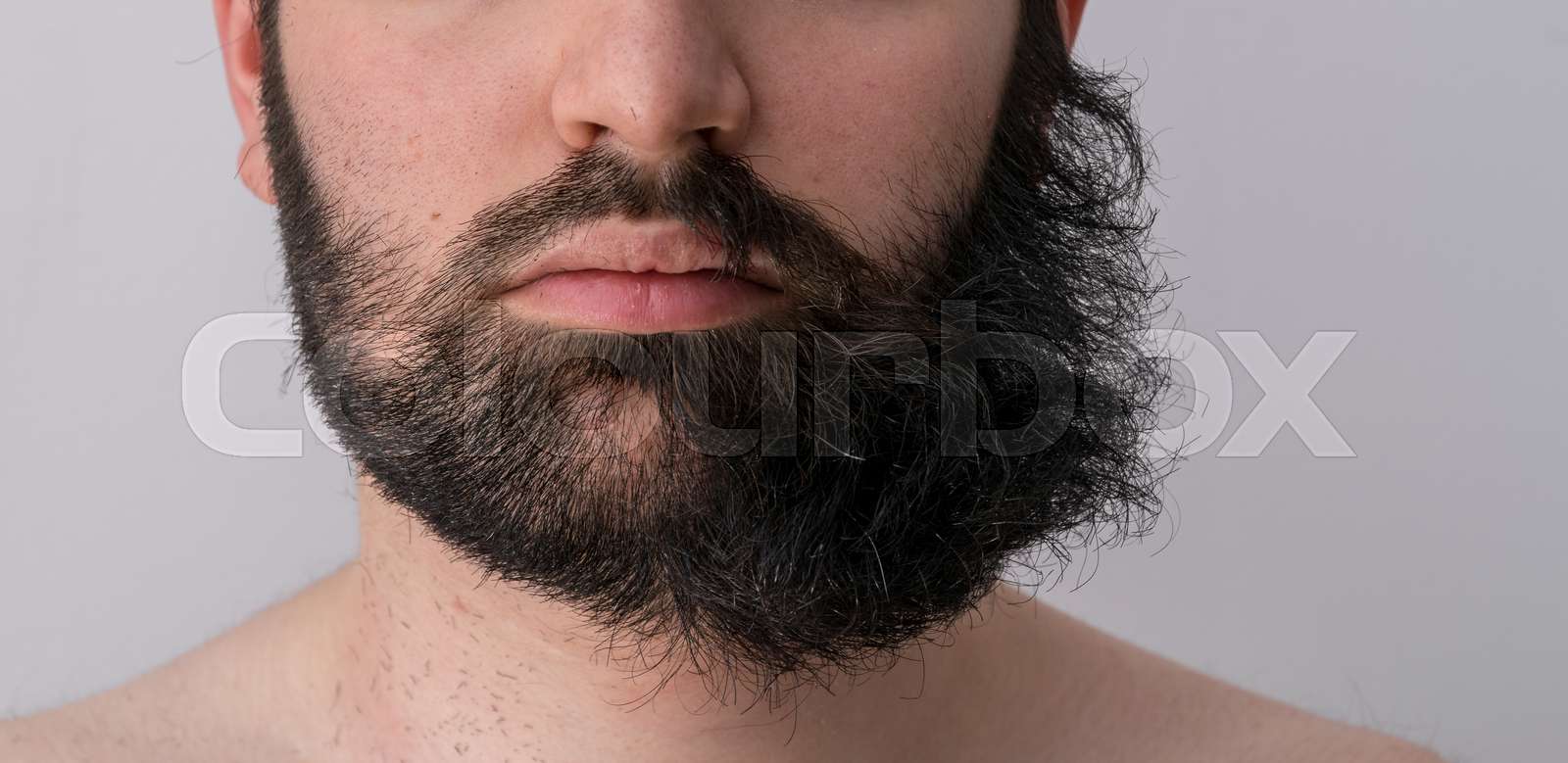 A man trimming his ungroomed beard, half done, half not | Stock image | Colourbox