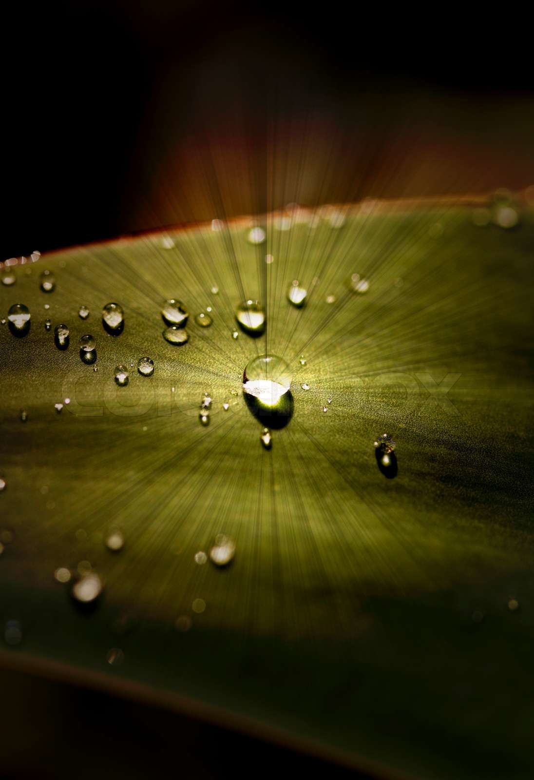 Glowing water droplet | Stock image | Colourbox