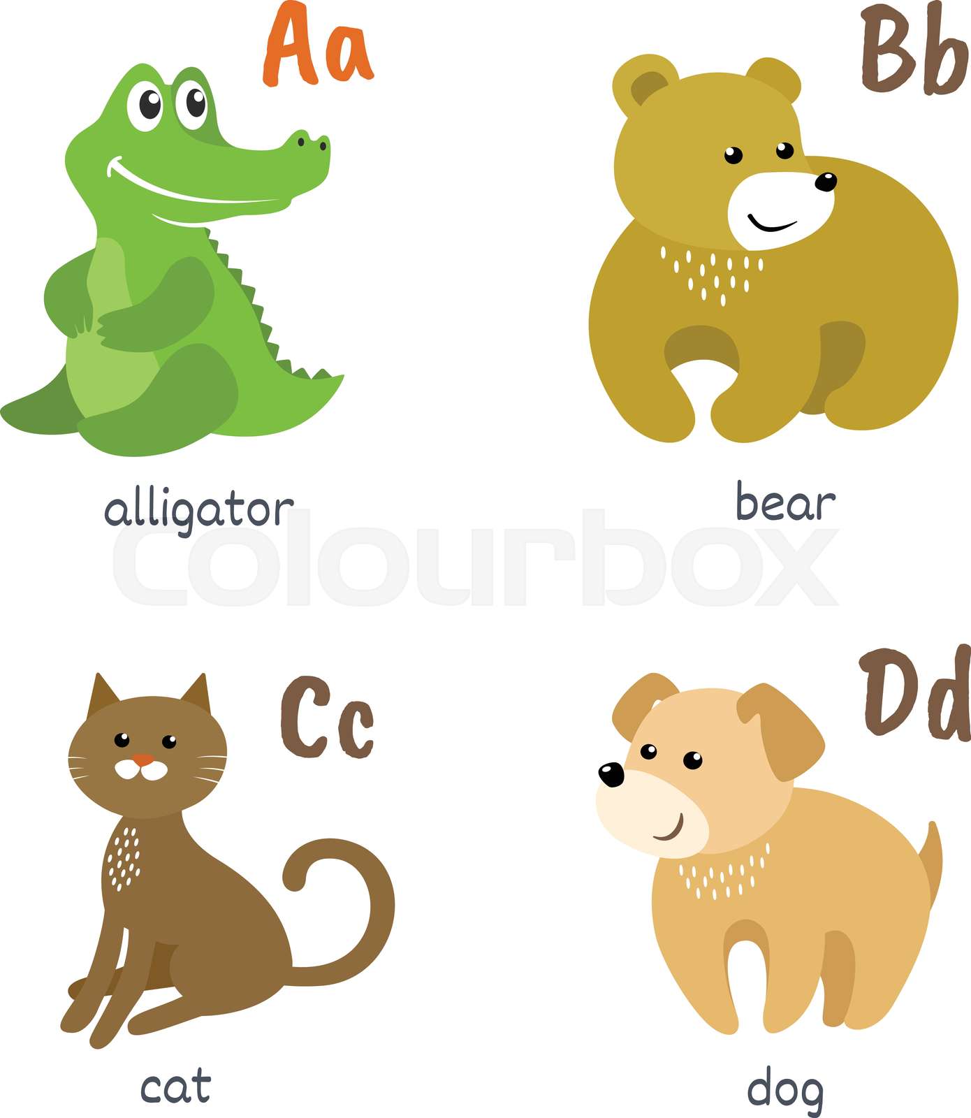 Animal alphabet with alligator bear cat dog characters | Stock vector ...