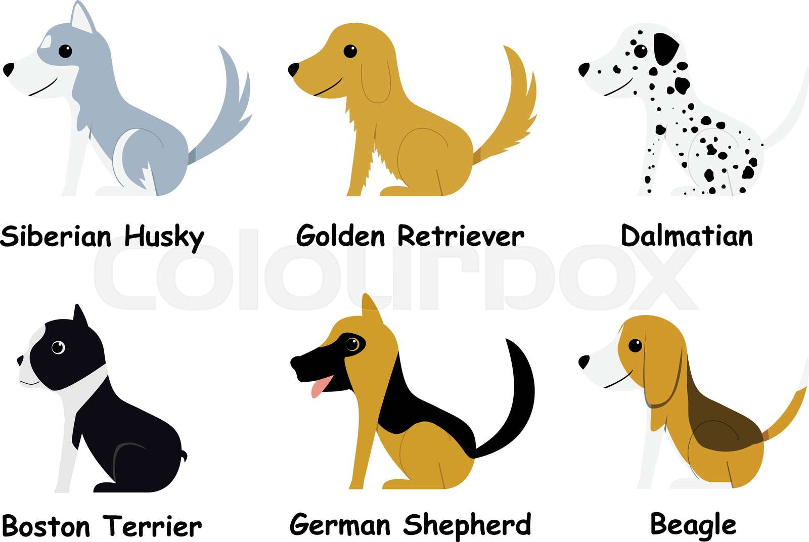 Set of puppy dog in flat style, side view, vector | Stock vector ...