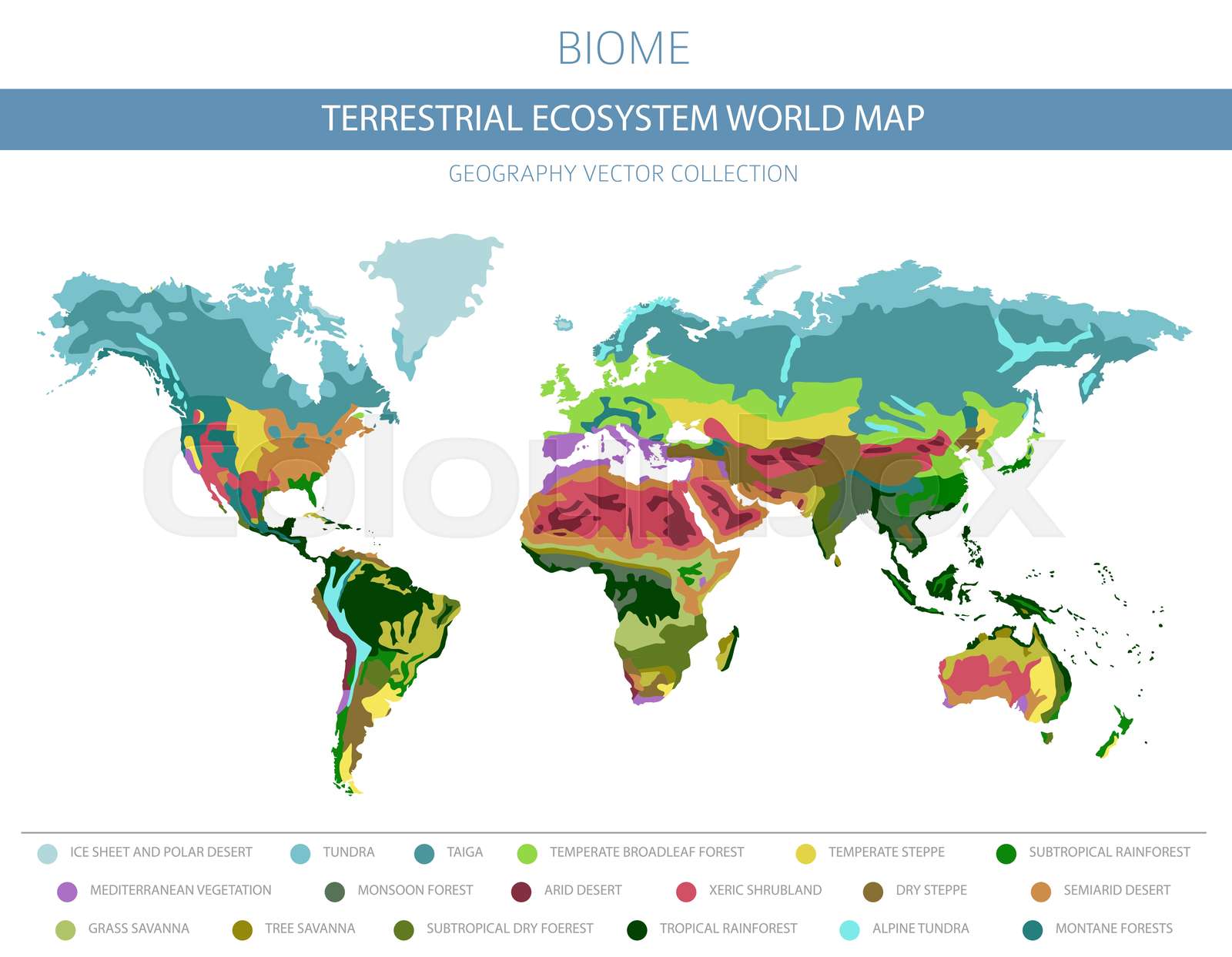 Terrestrial ecosystem world map. Biome. World climatic zone infographic ...