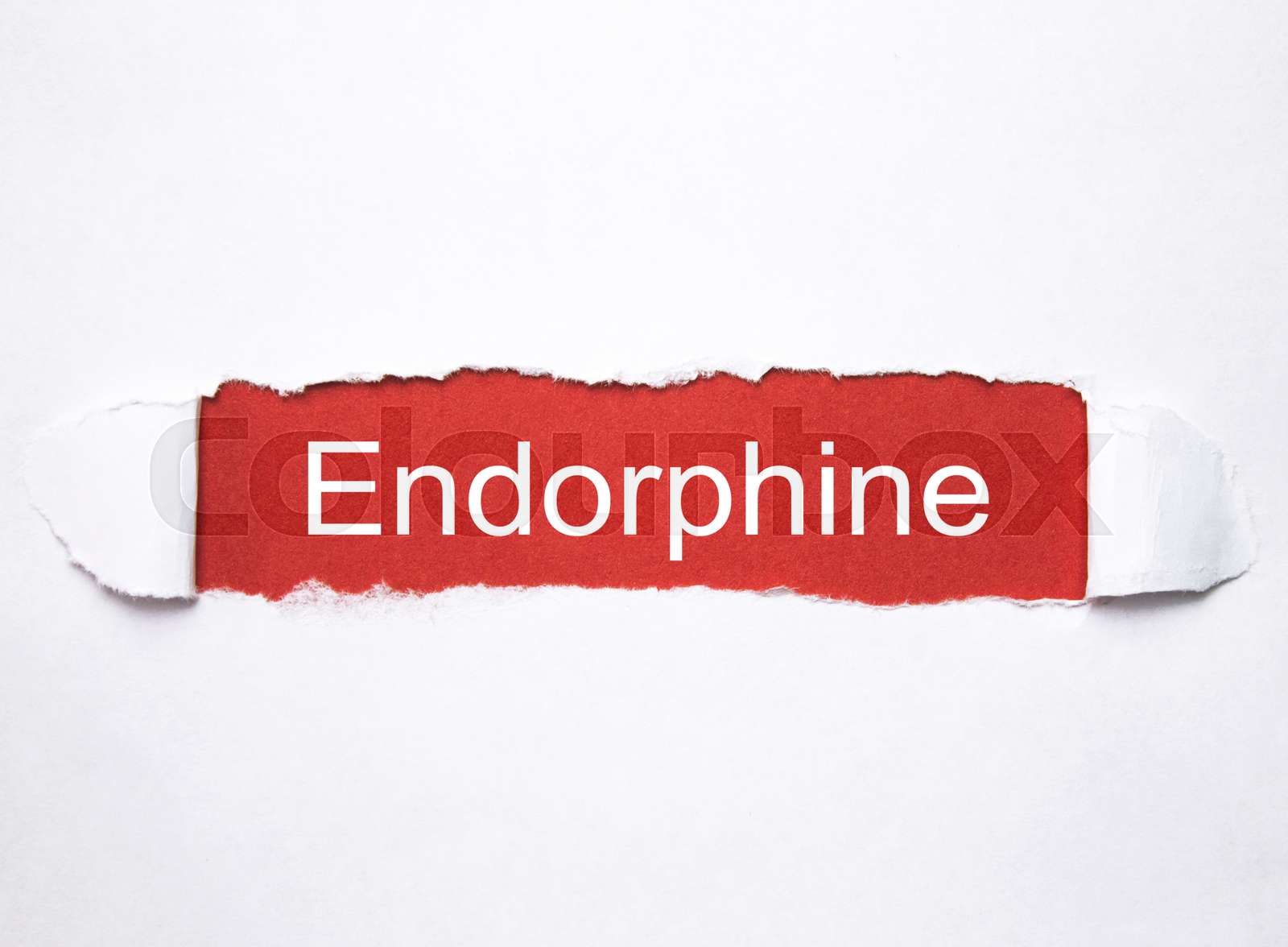 Word Endorphine on torn paper. | Stock image | Colourbox