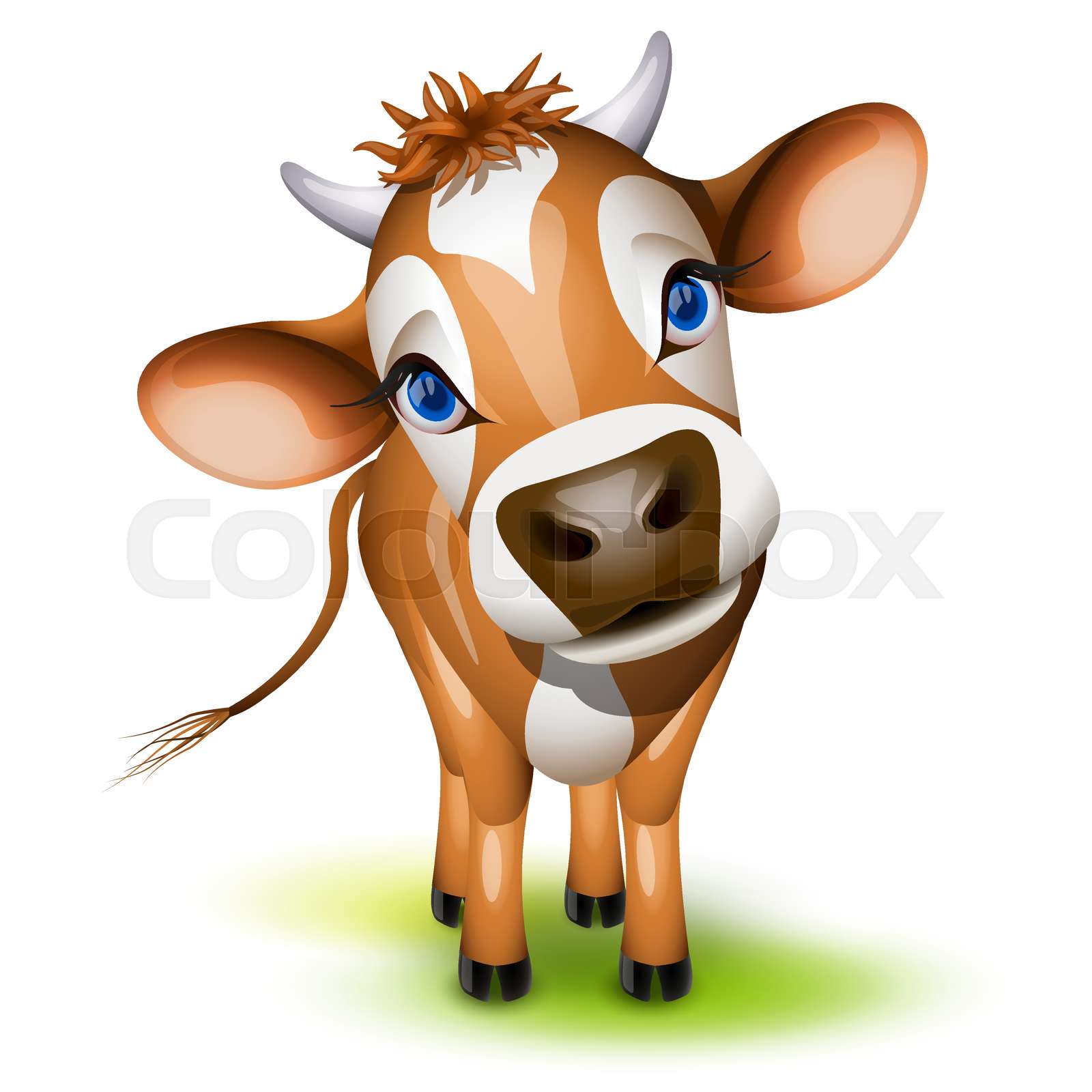 Little jersey cow | Stock vector | Colourbox