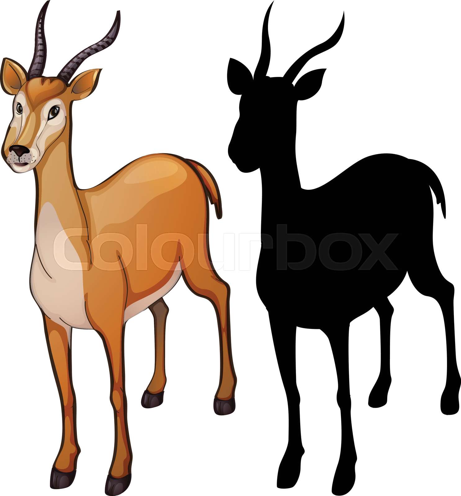 Set of gazelle design | Stock vector | Colourbox