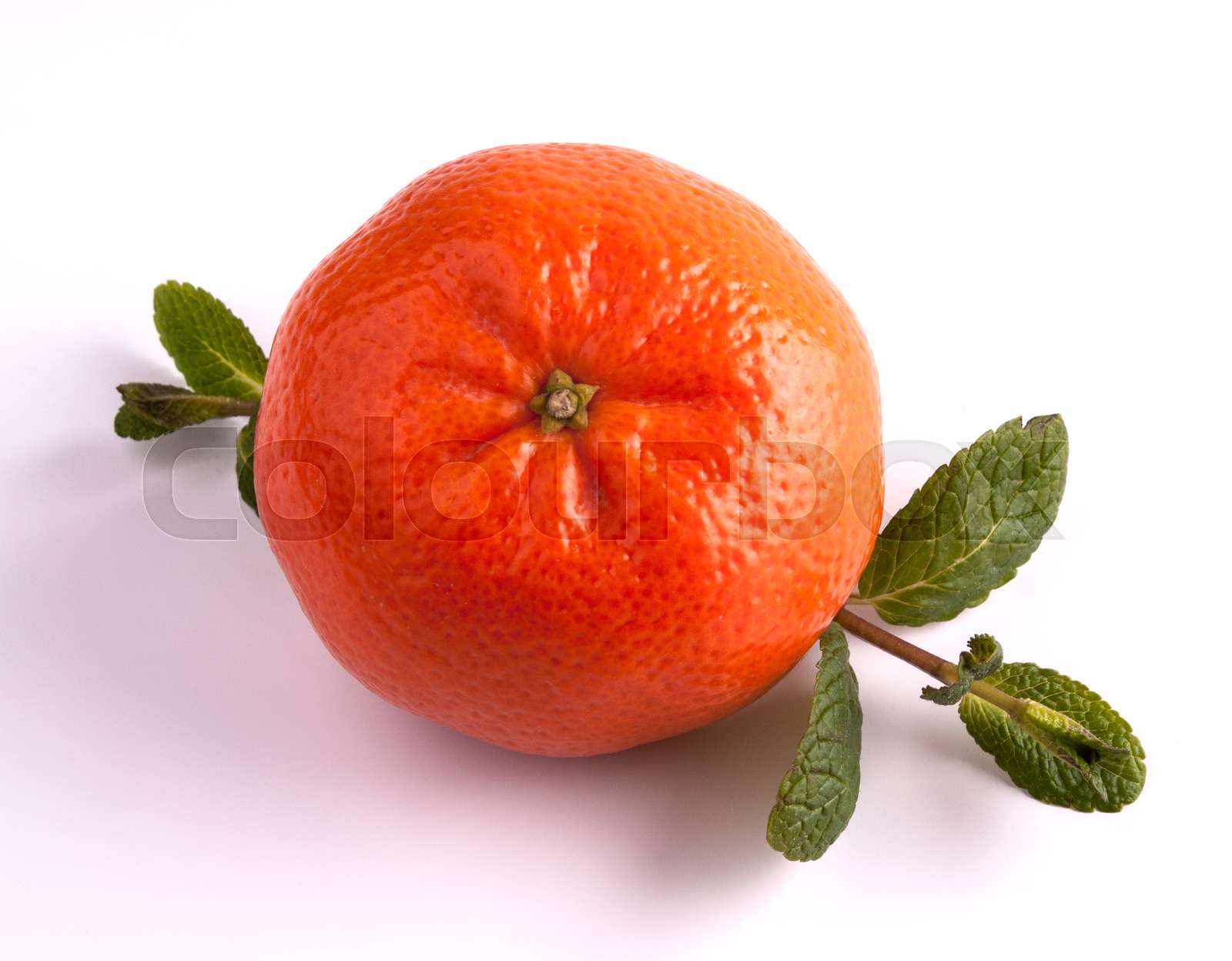 tangerine with mint | Stock image | Colourbox