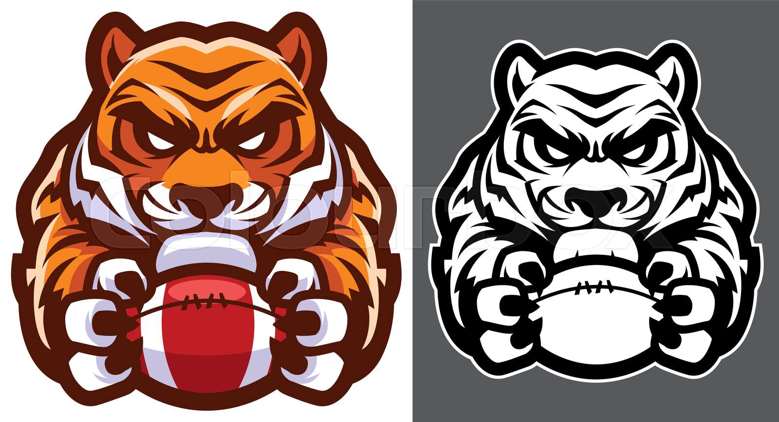 Tiger American Football Mascot | Stock vector | Colourbox