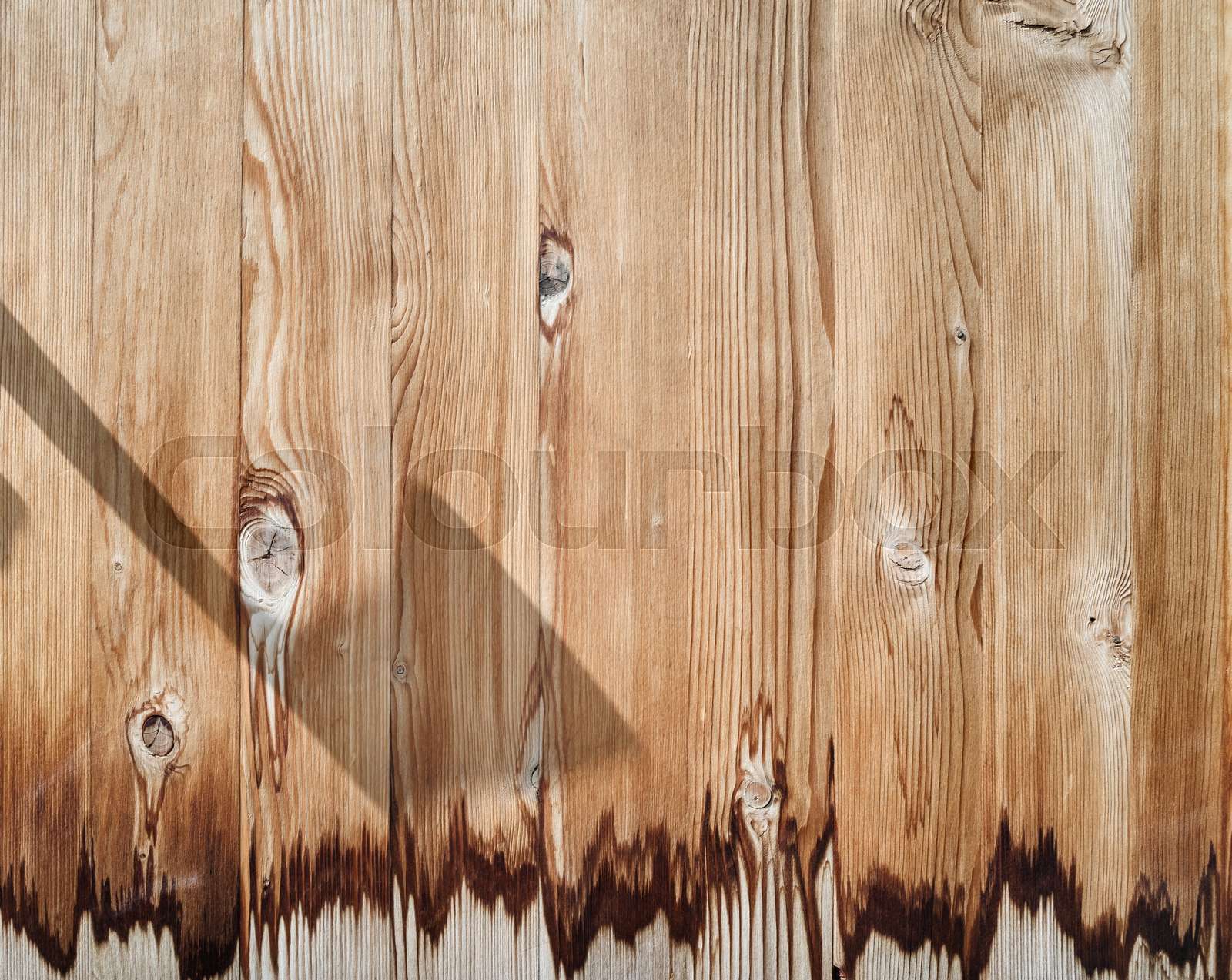 Light wood texture | Stock image | Colourbox