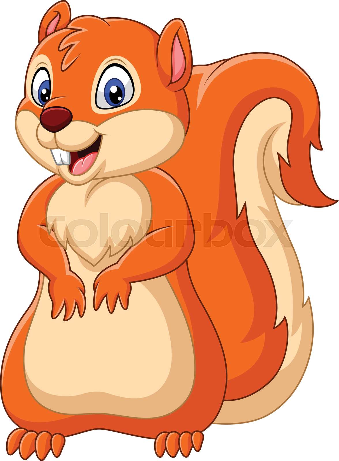 Cartoon happy squirrel | Stock vector | Colourbox