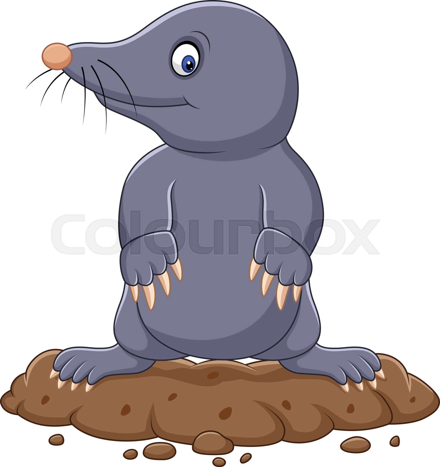 Cartoon cute mole | Stock vector | Colourbox