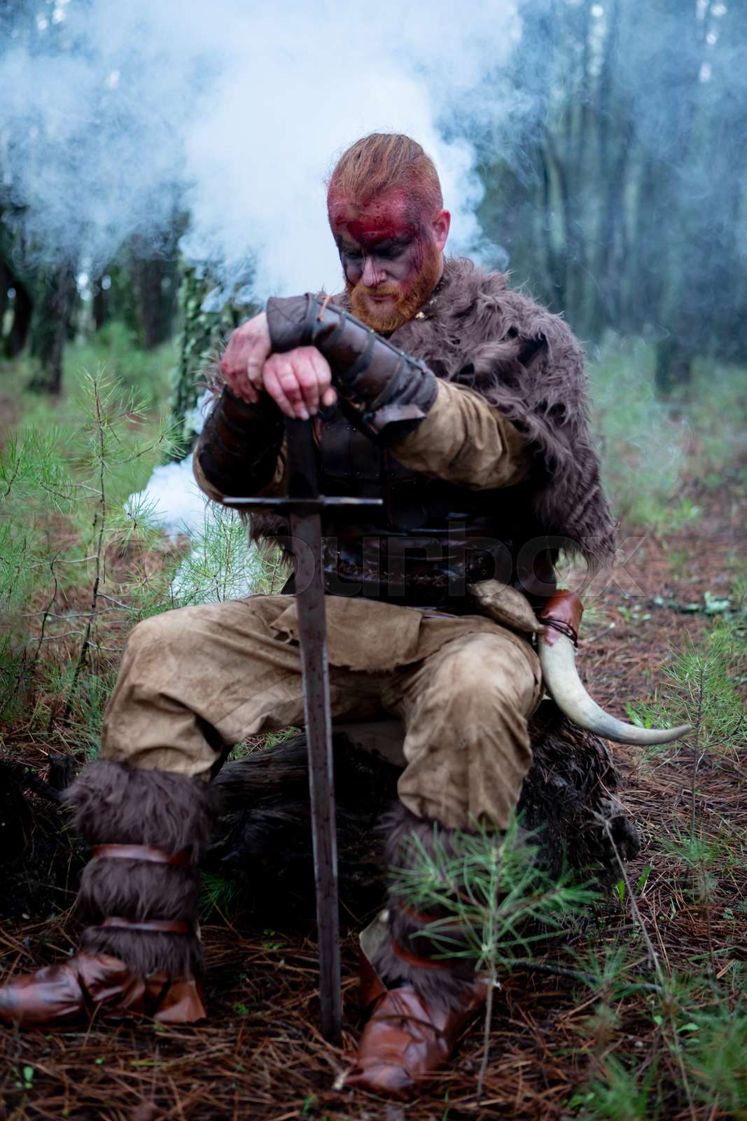 Bloody real viking | Stock image | Colourbox