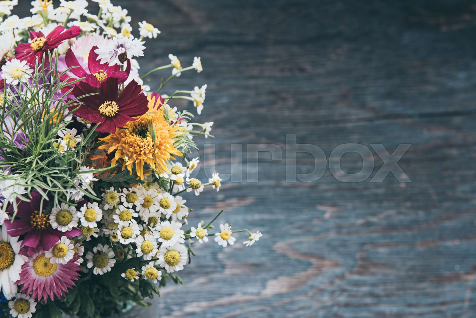 Summer flowers design | Stock image | Colourbox