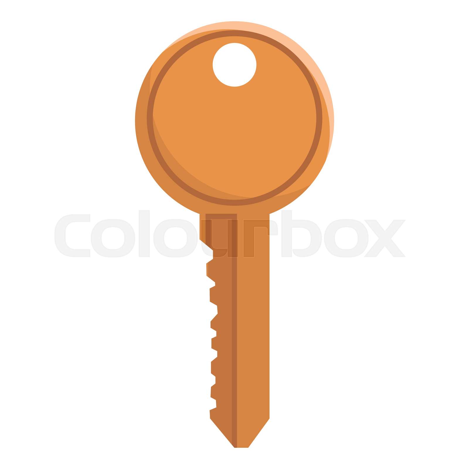 Door key isolated | Stock vector | Colourbox