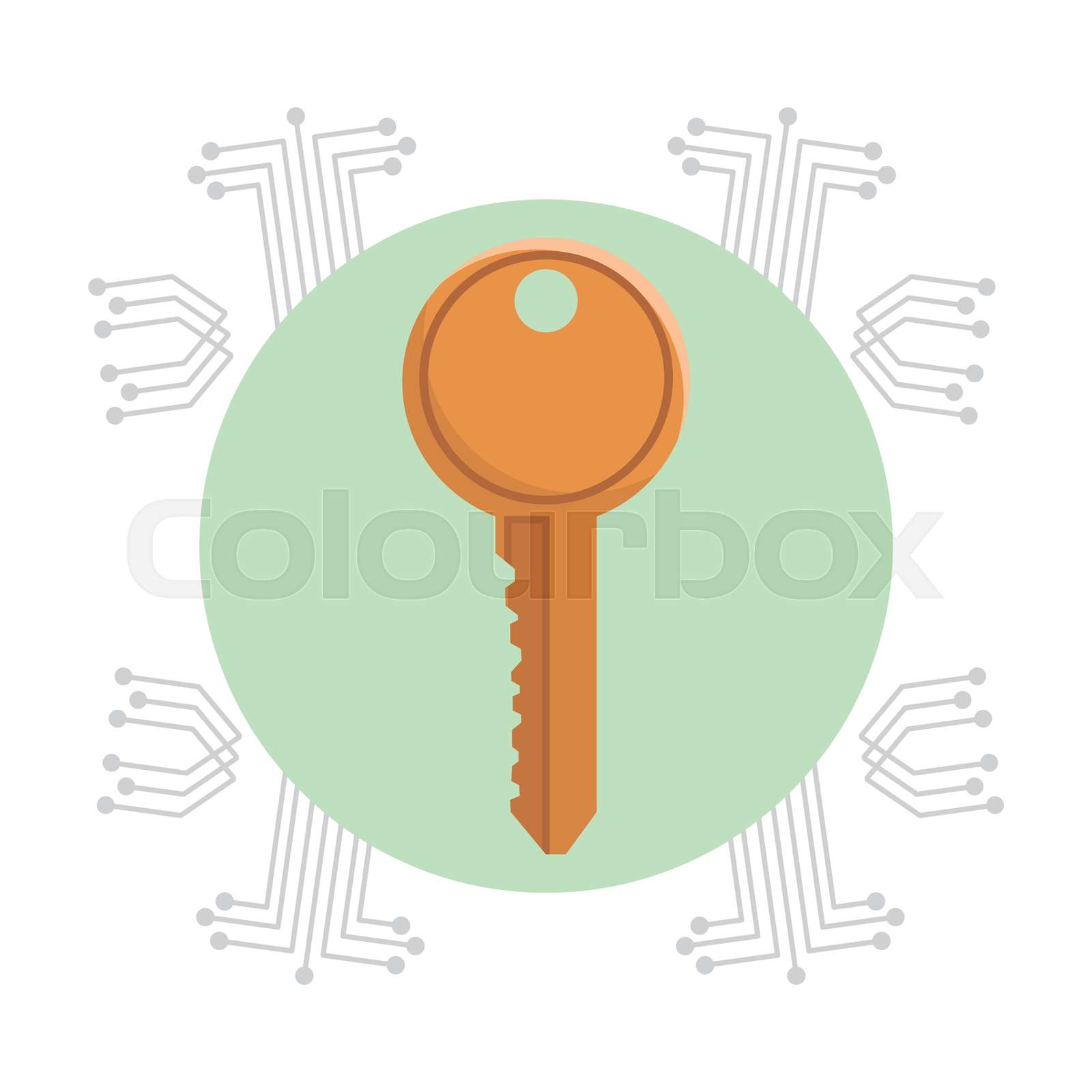Door key isolated | Stock vector | Colourbox