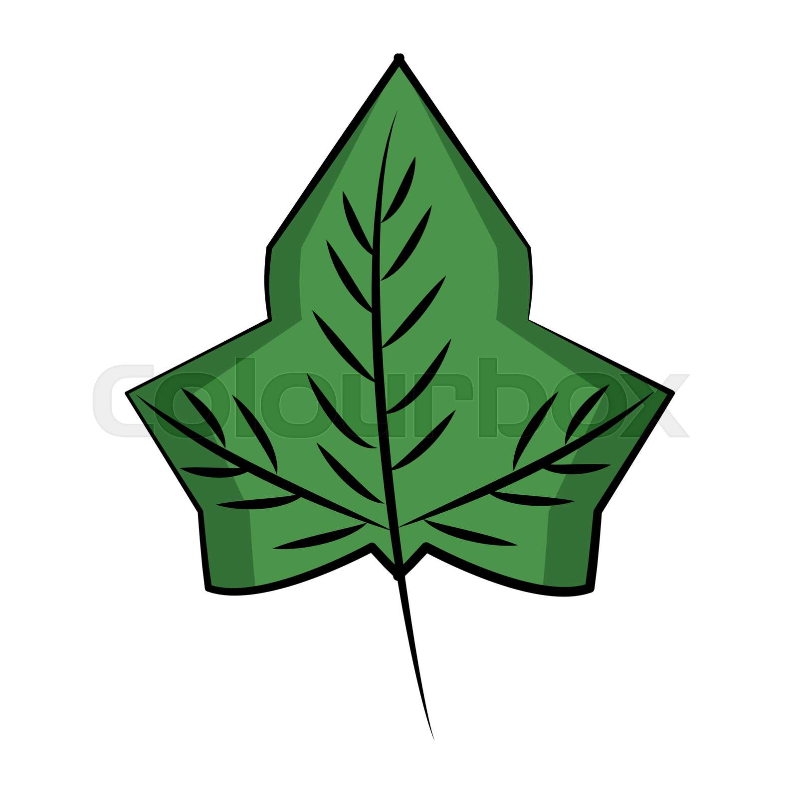 Leaf nature cartoon | Stock vector | Colourbox