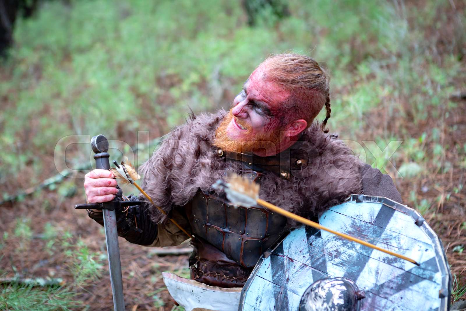 Bloody real viking | Stock image | Colourbox