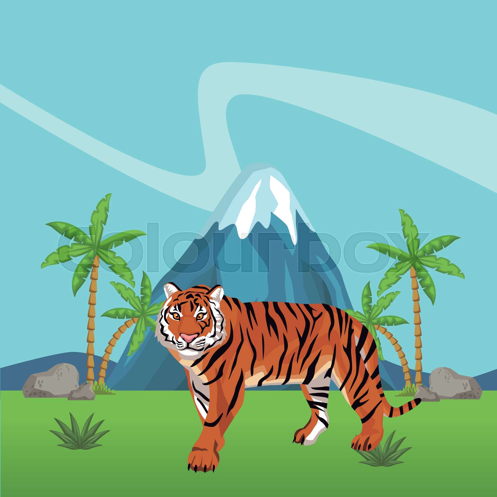 wild tiger cartoon | Stock vector | Colourbox