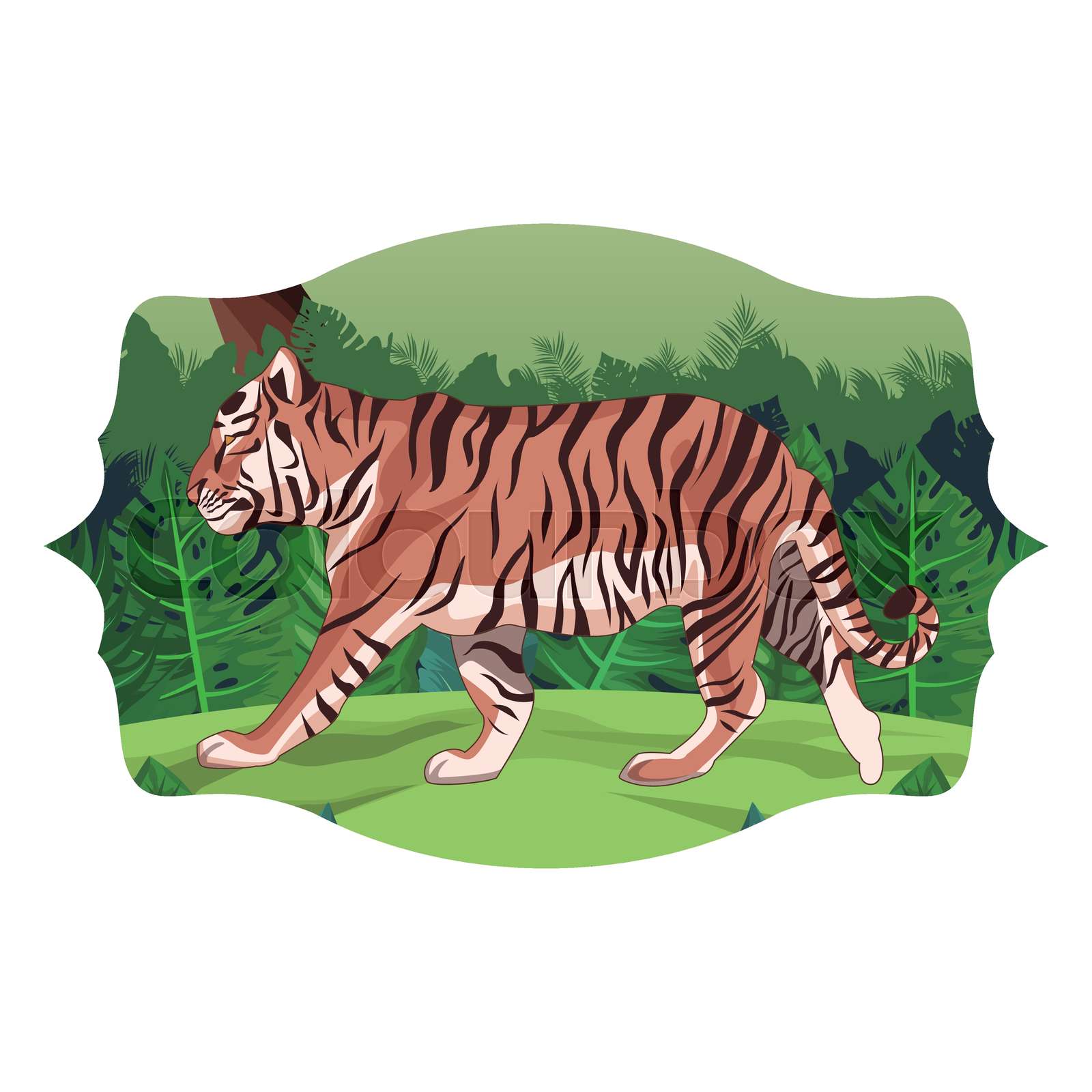 wild tiger cartoon | Stock vector | Colourbox
