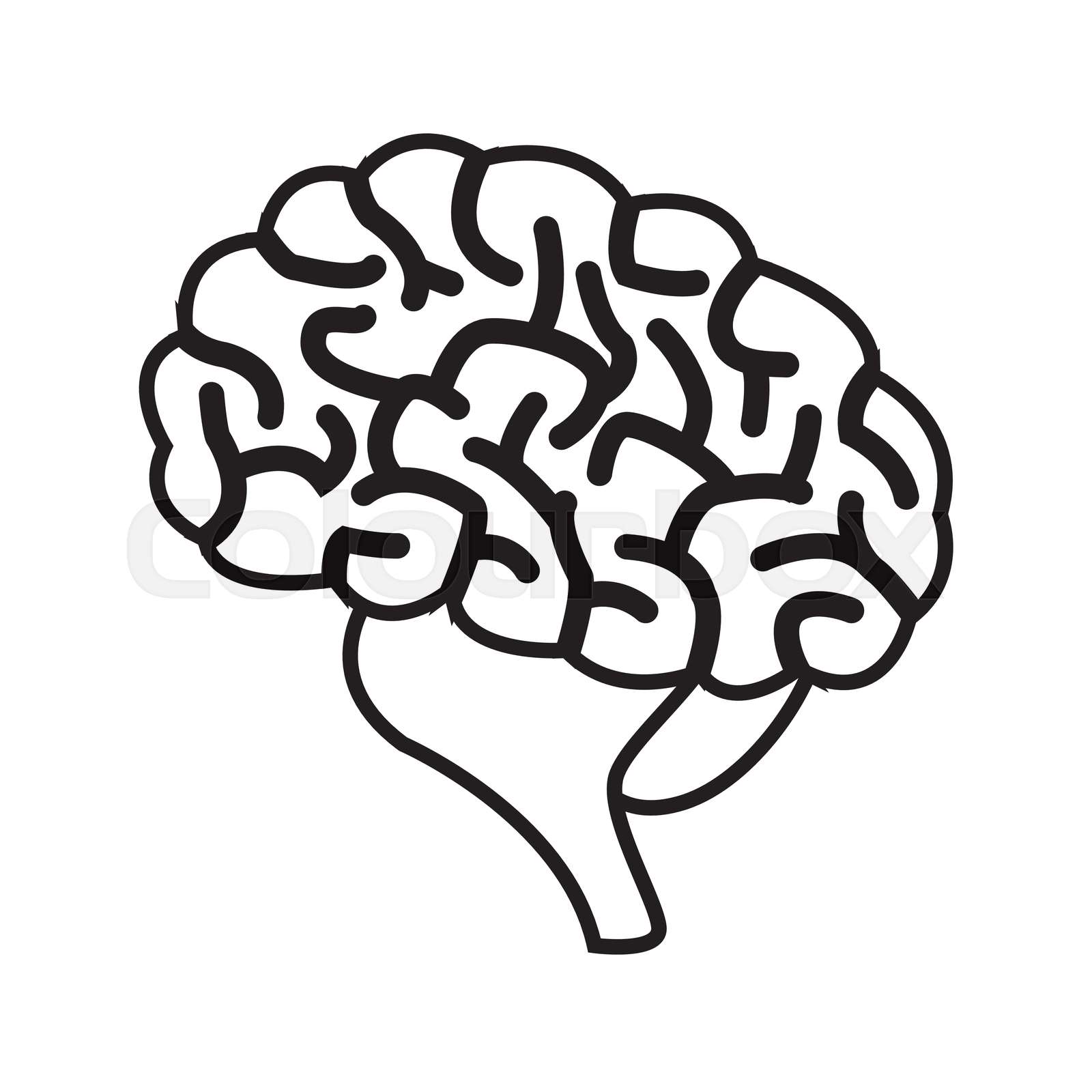 Human brain symbol | Stock vector | Colourbox