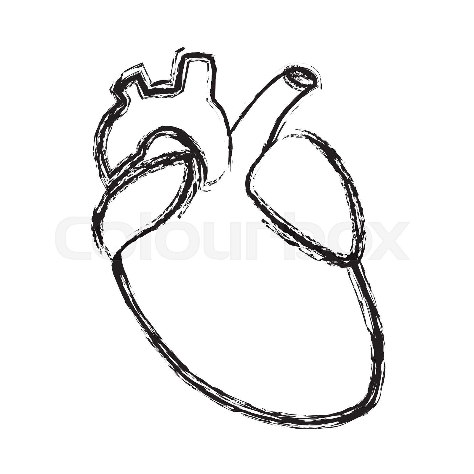 Human heart symbol | Stock vector | Colourbox