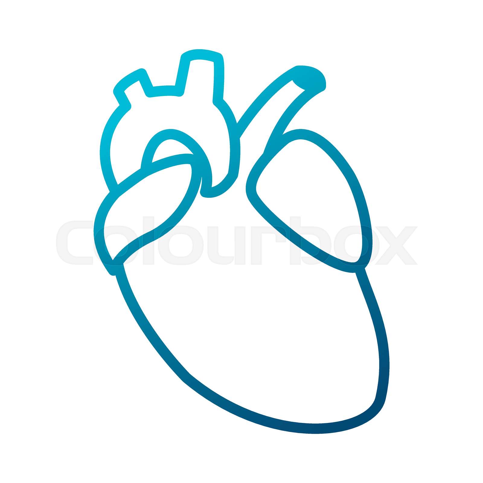 Human heart symbol | Stock vector | Colourbox