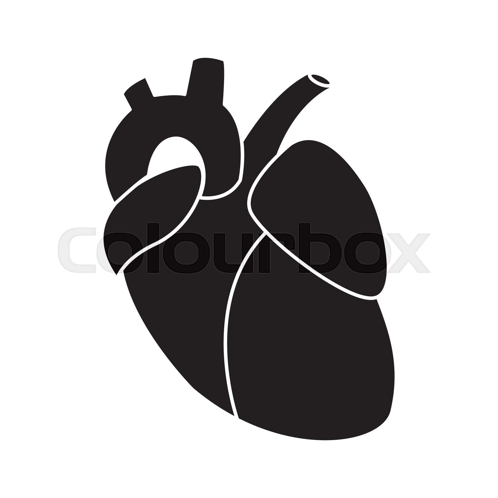 Human heart symbol | Stock vector | Colourbox