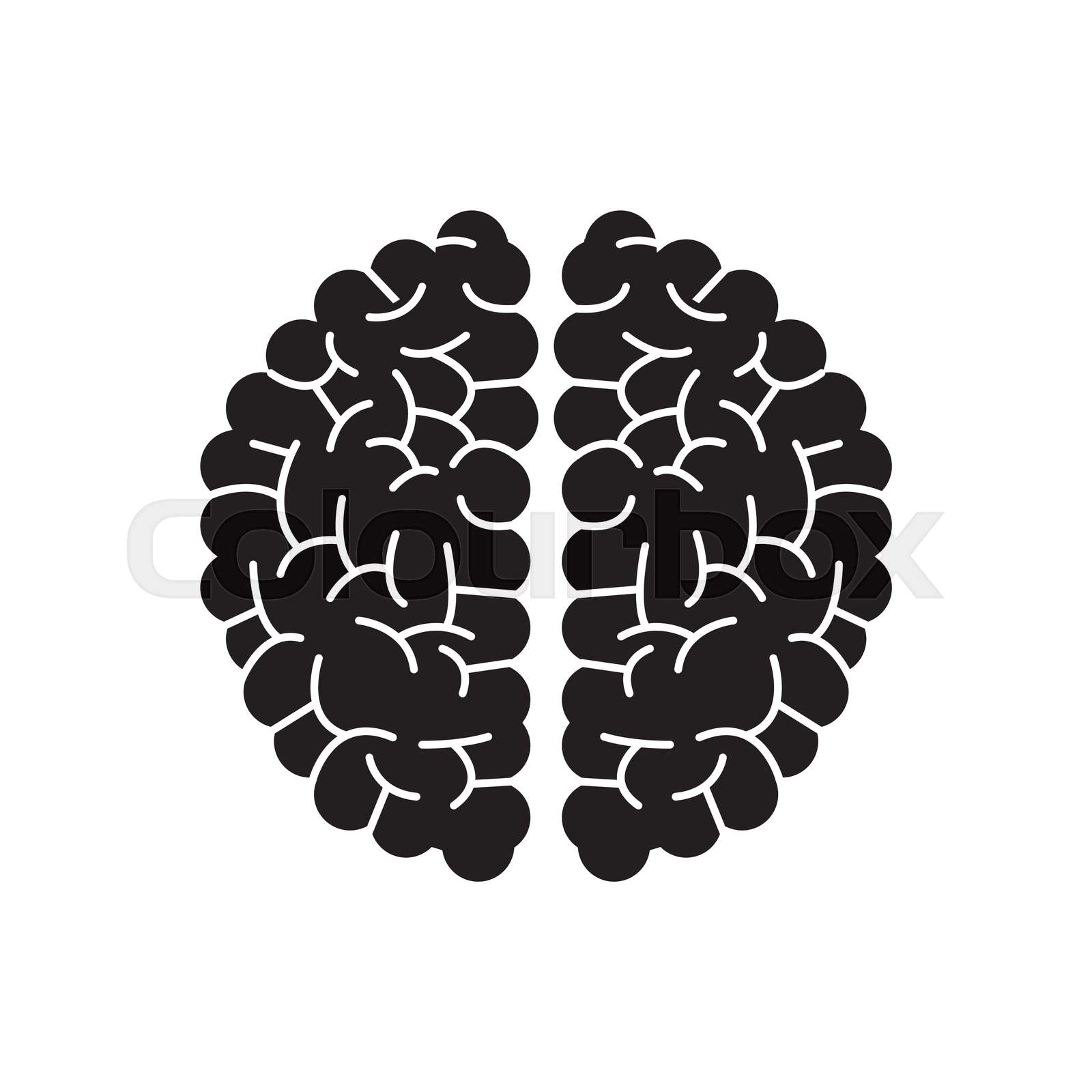 brain human hemispheres think knowledge silhouette | Stock vector ...
