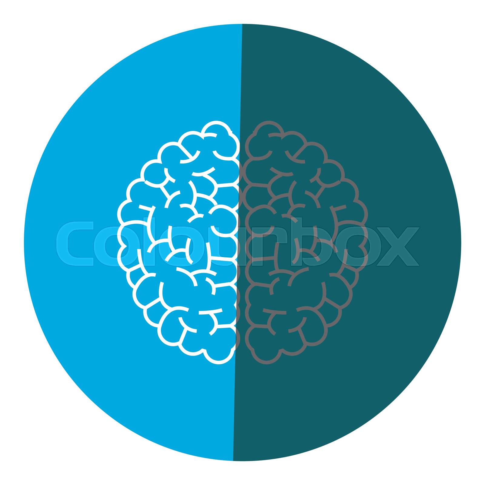 brain human anatomy creativity icon circle | Stock vector | Colourbox