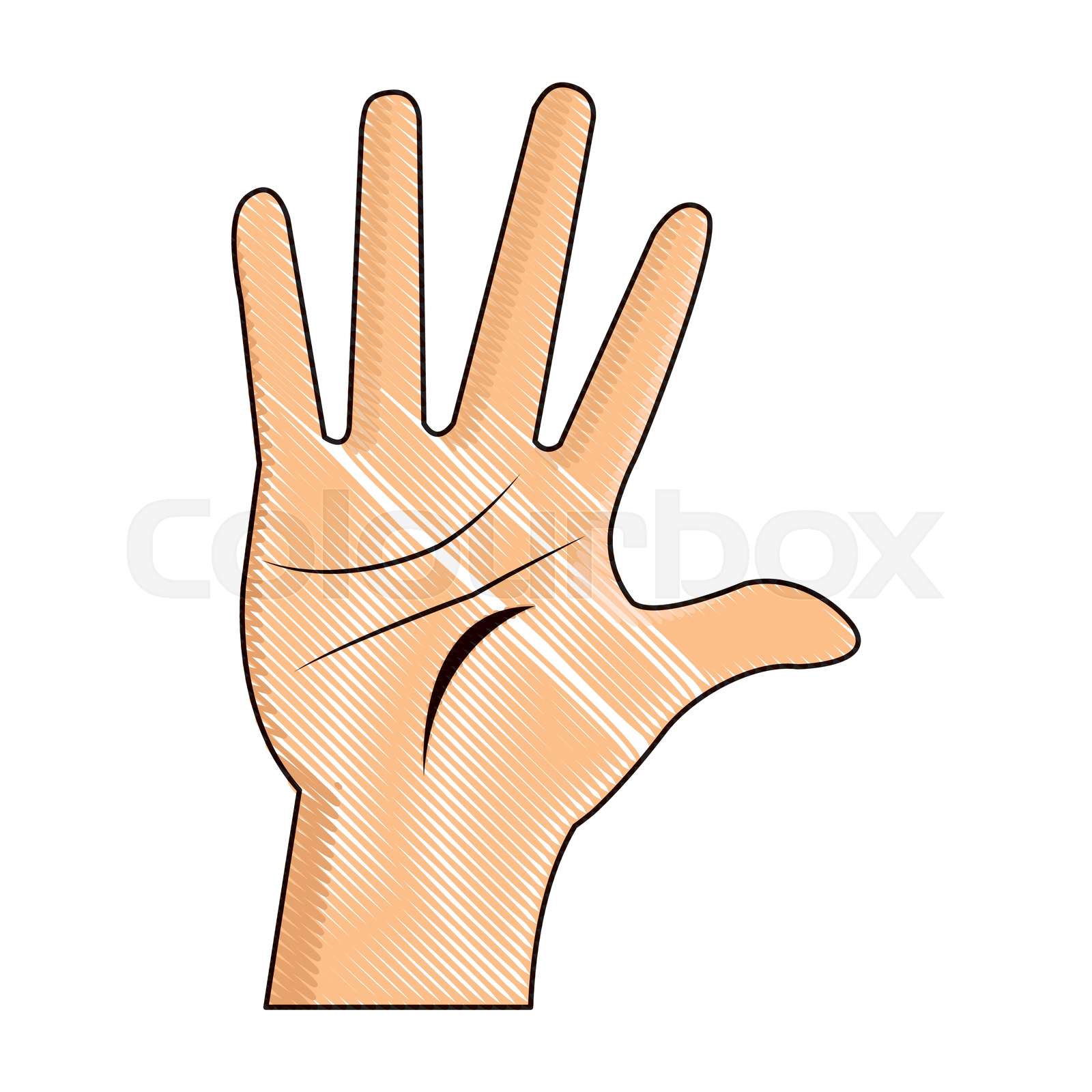 drawing hand man palm showing five finger | Stock vector | Colourbox