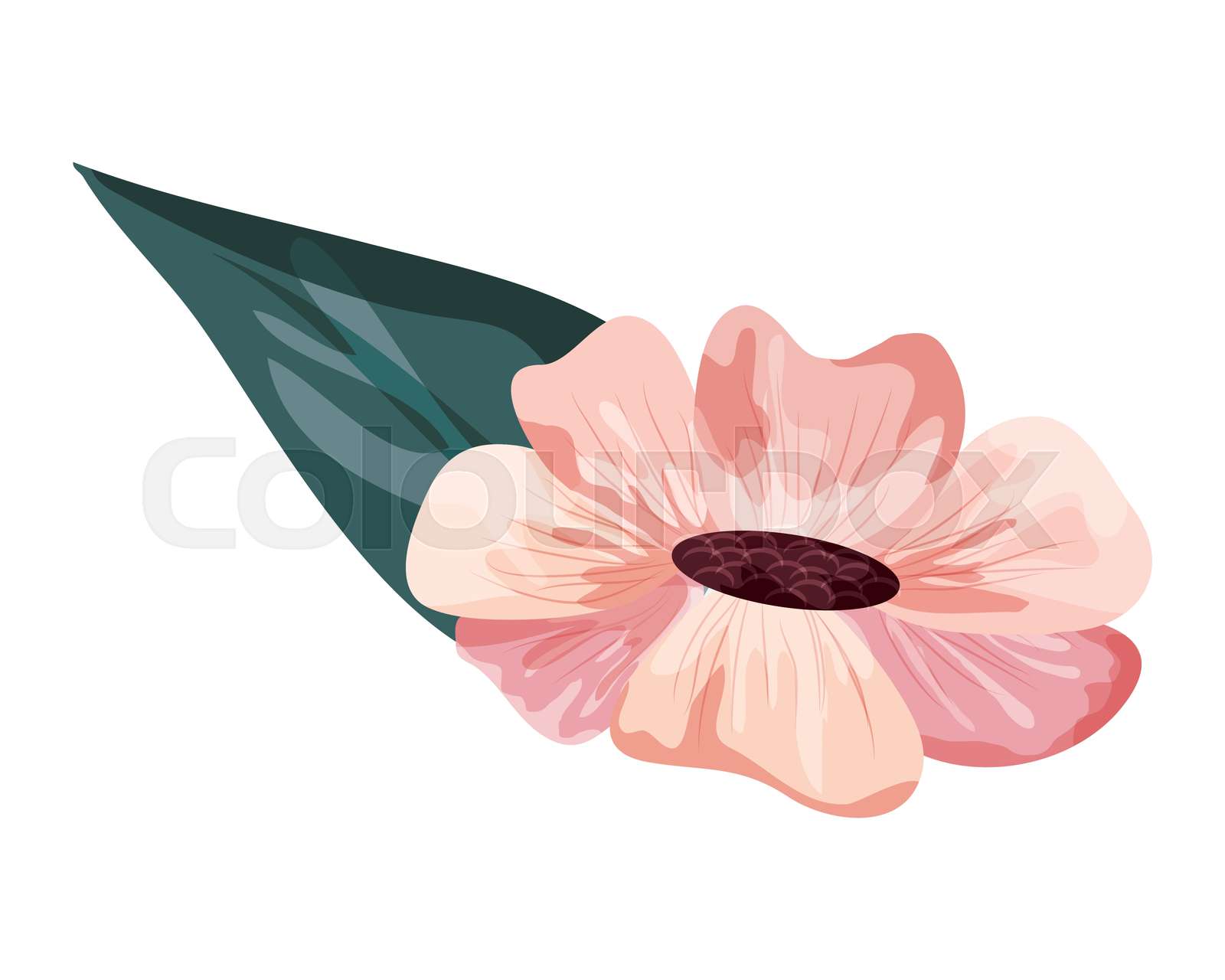 delicate flower icon | Stock vector | Colourbox
