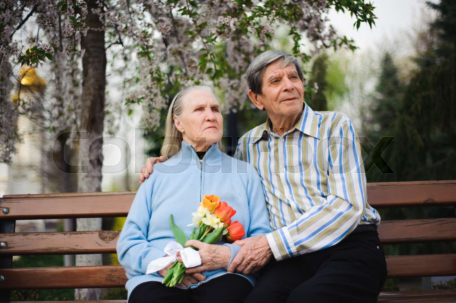 beautiful happy old people sitting in the autumn park - Stock Image ...