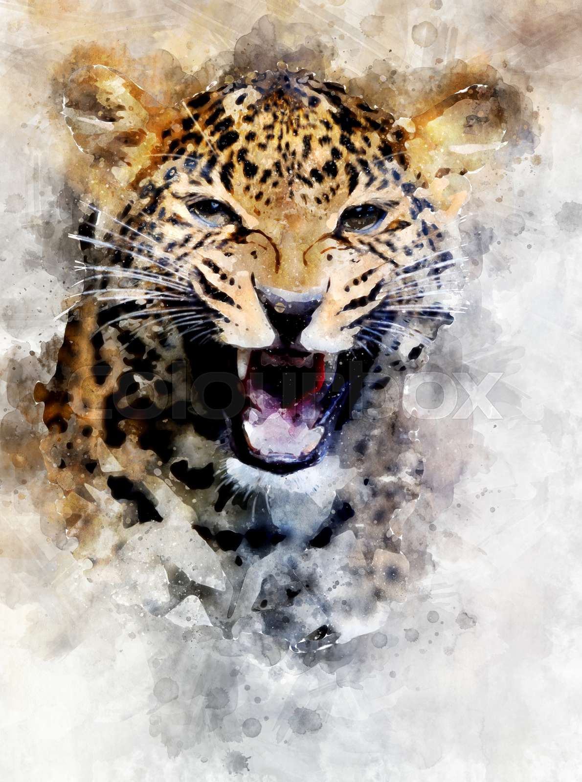 Leopard - watercolor illustration portrait | Stock image | Colourbox