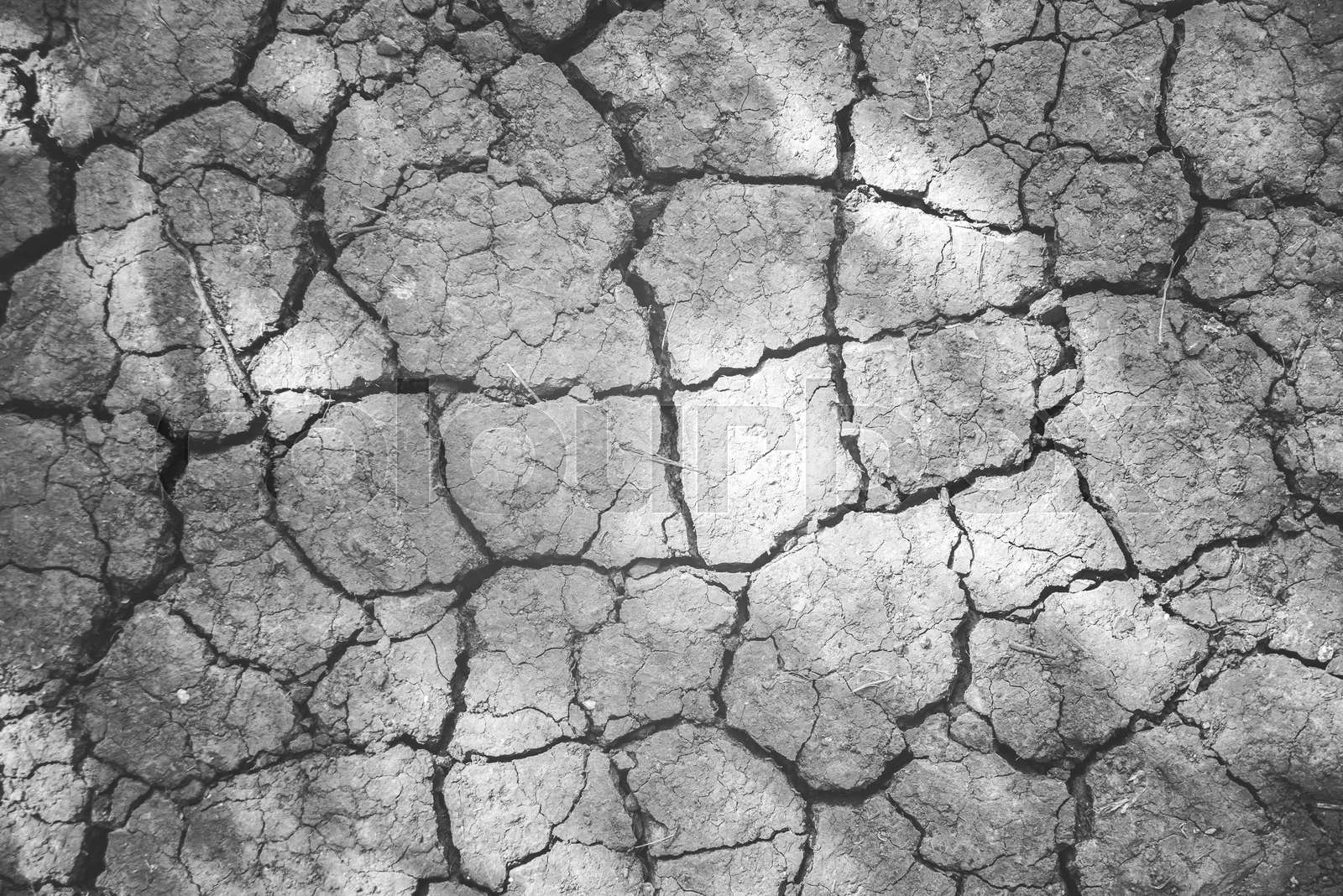Background of dry ground | Stock image | Colourbox
