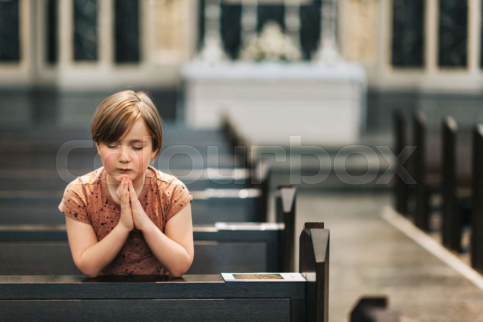 Little boy praying in church | Stock image | Colourbox