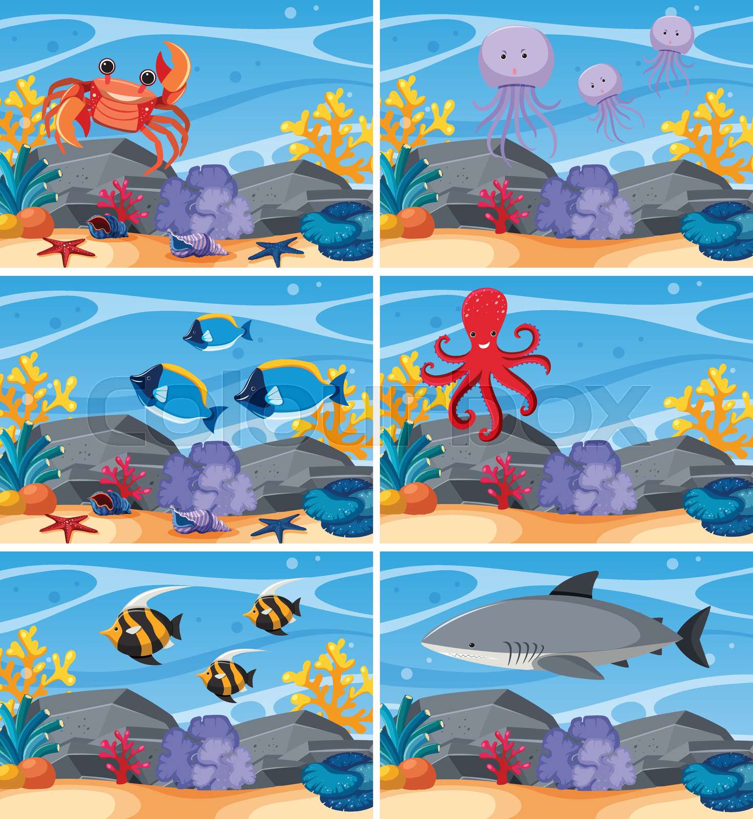 Six underwater scenes with sea animals | Stock vector | Colourbox