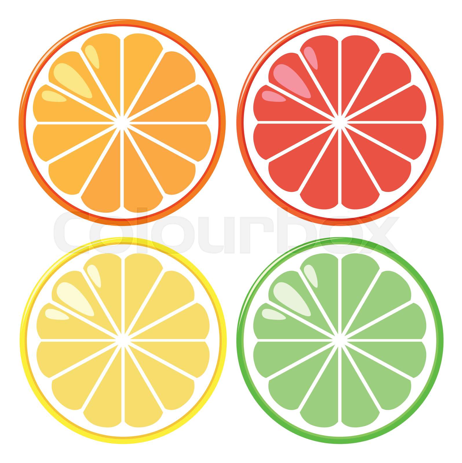 Four slices of oranges in four colors | Stock vector | Colourbox