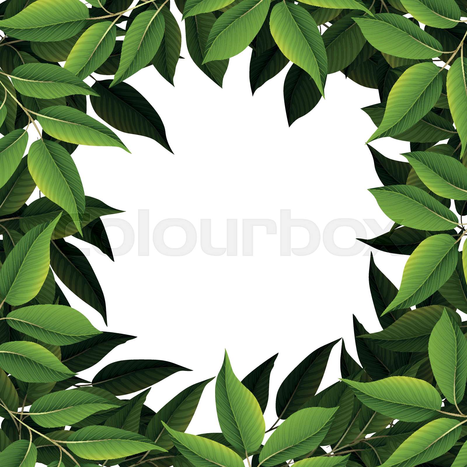 A nature leaf border | Stock vector | Colourbox