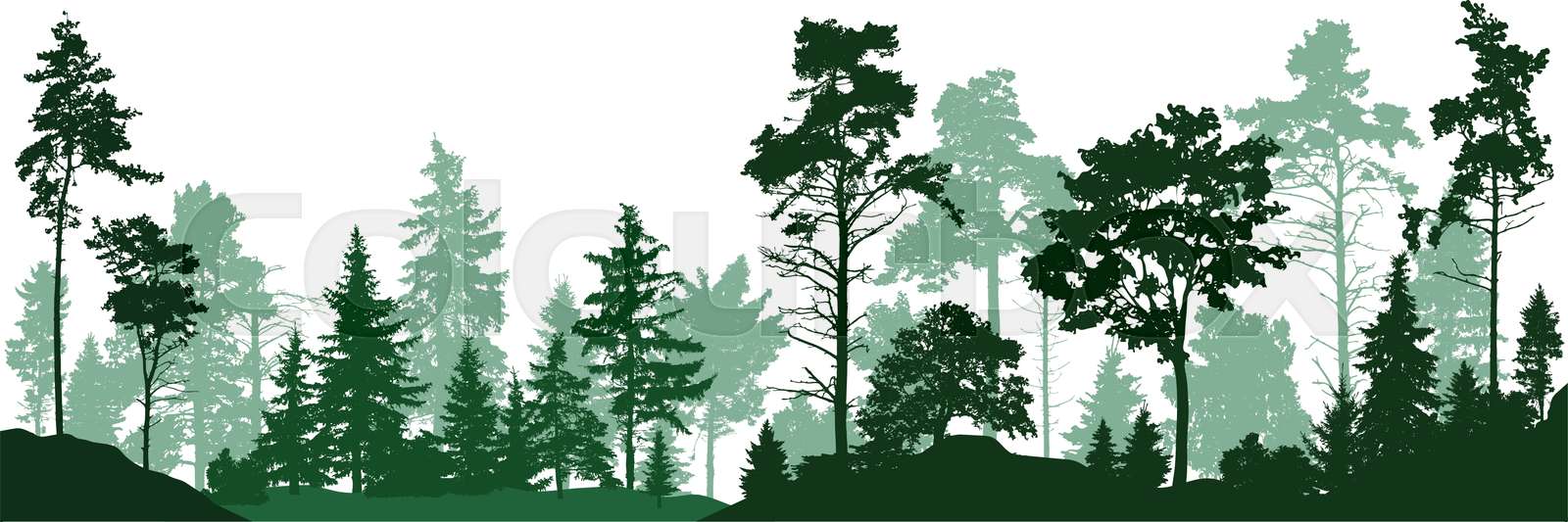 Forest silhouette trees. Evergreen coniferous forest with pines, fir ...