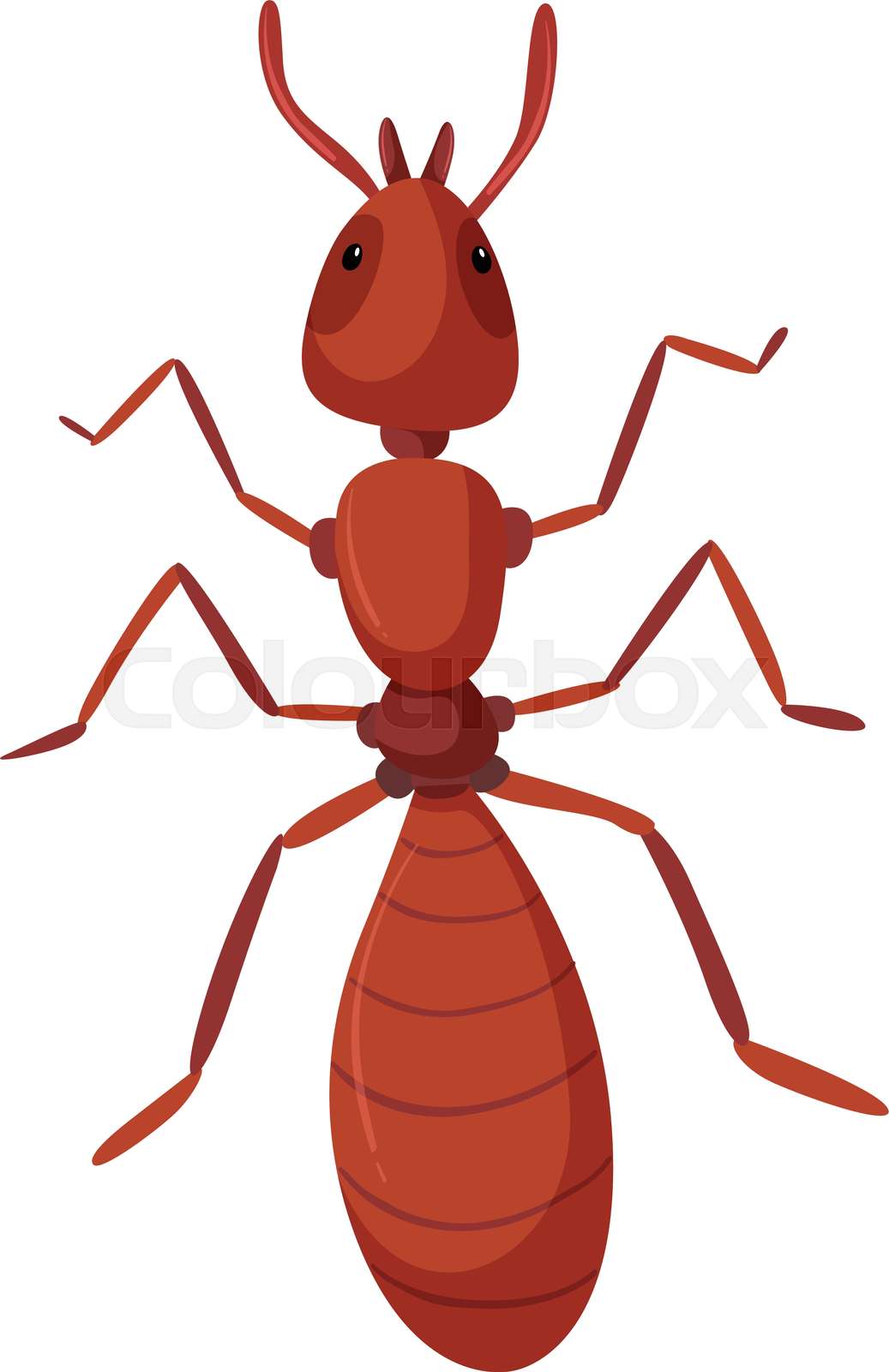An isolated red ant | Stock vector | Colourbox