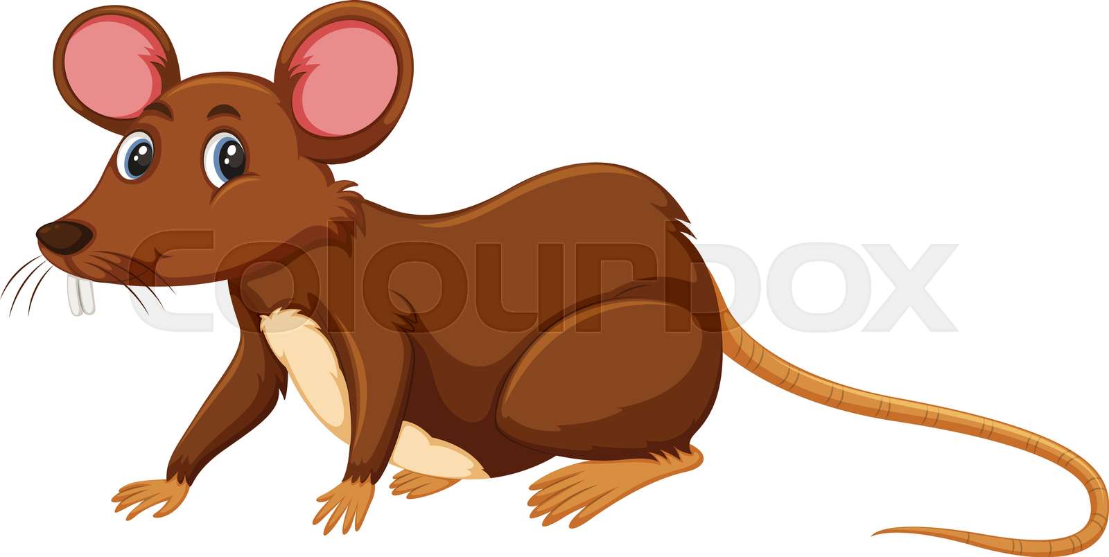 tegning, rotte, brun | Stock vektor | Colourbox