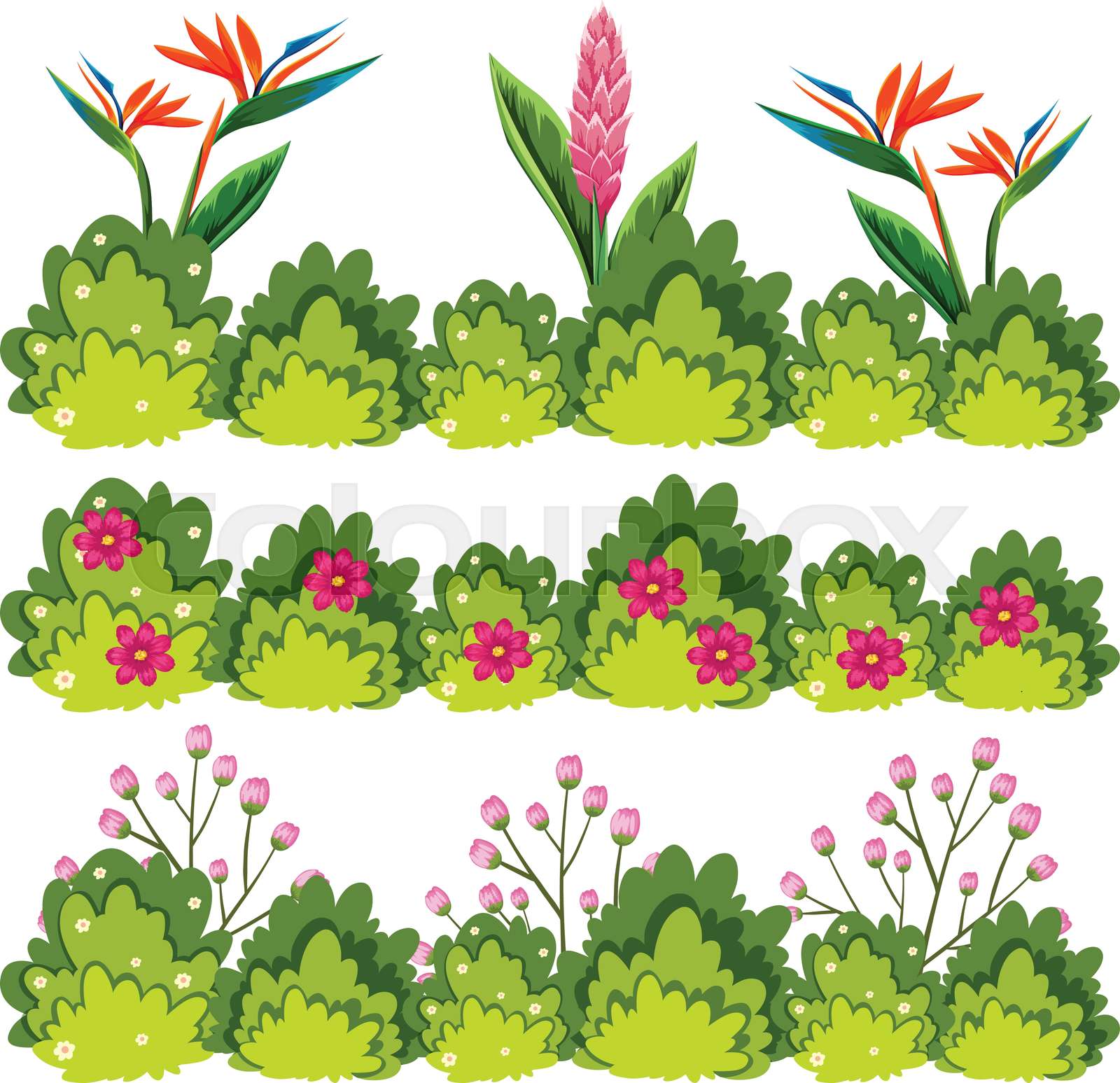 A set of flower bush | Stock vector | Colourbox