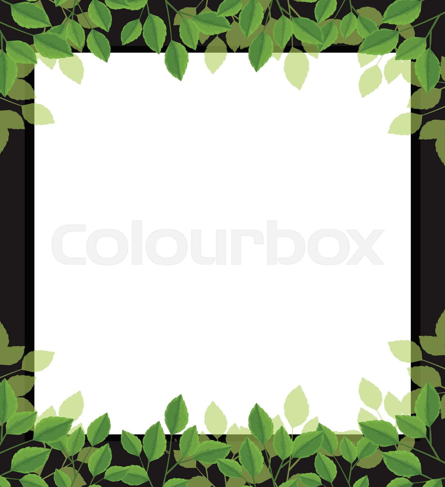 A beautiful leaf border | Stock vector | Colourbox