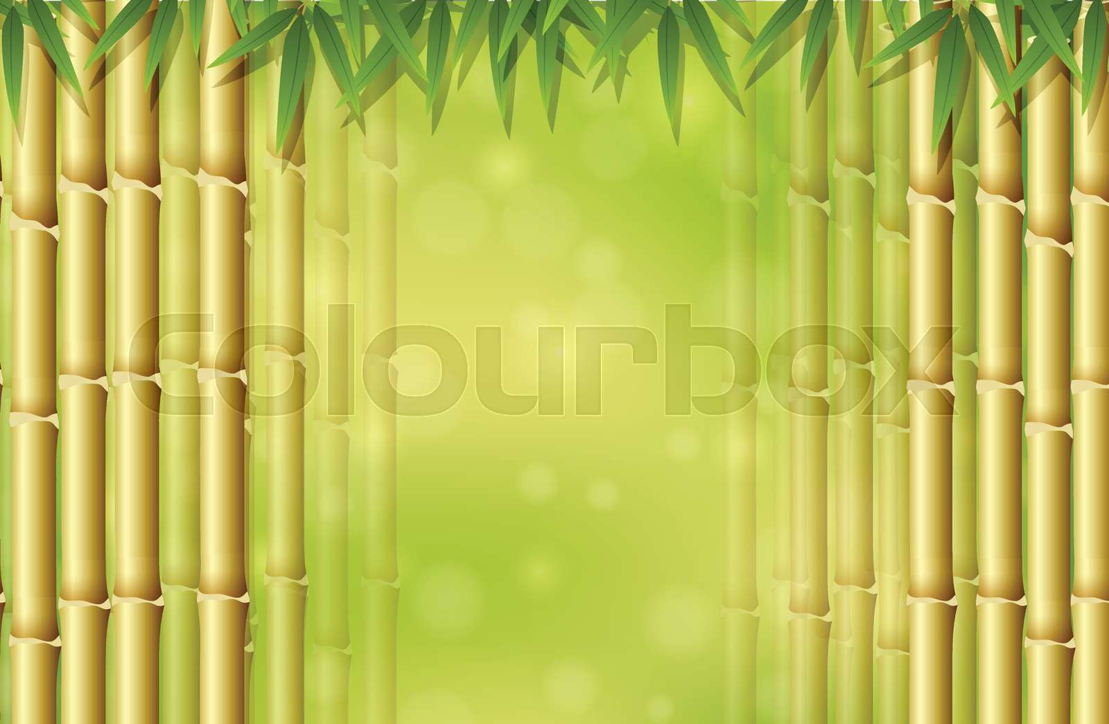 Green Bamboo in Nature Template | Stock vector | Colourbox