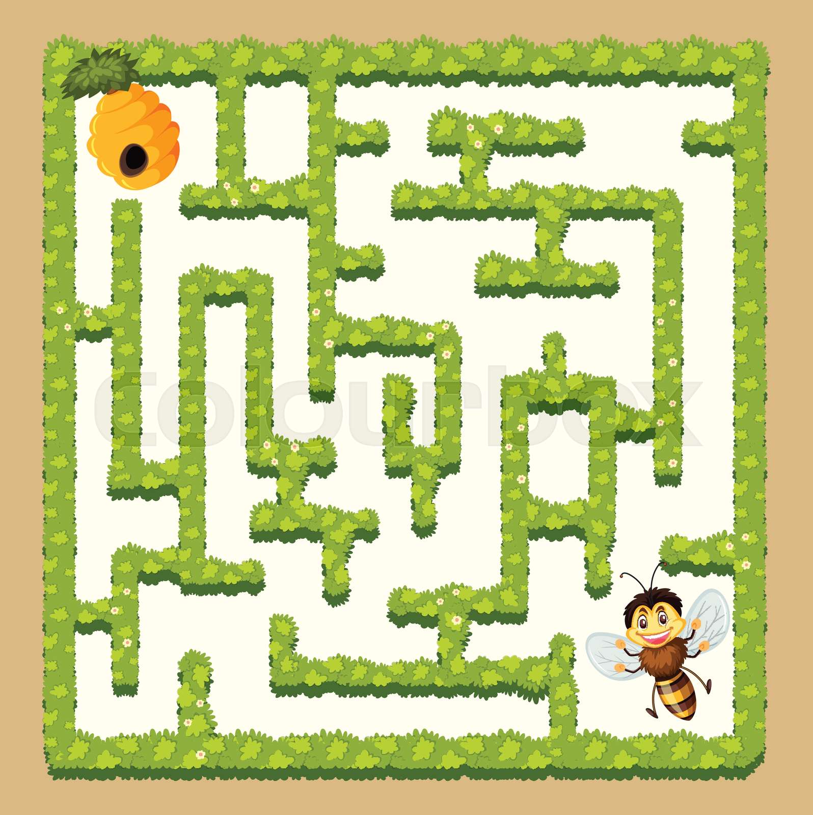 Bee finding honey maze game | Stock vector | Colourbox