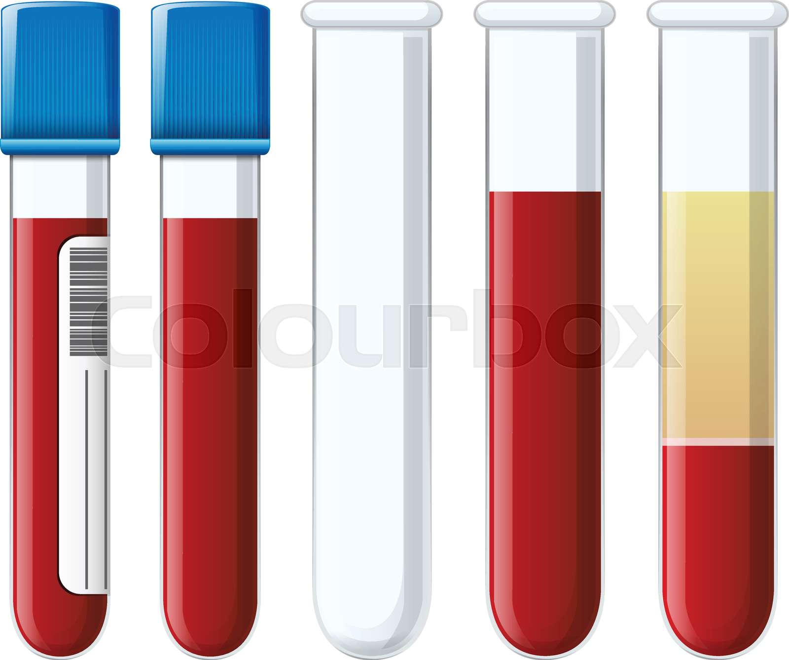 Set of blood collection tubes | Stock vector | Colourbox